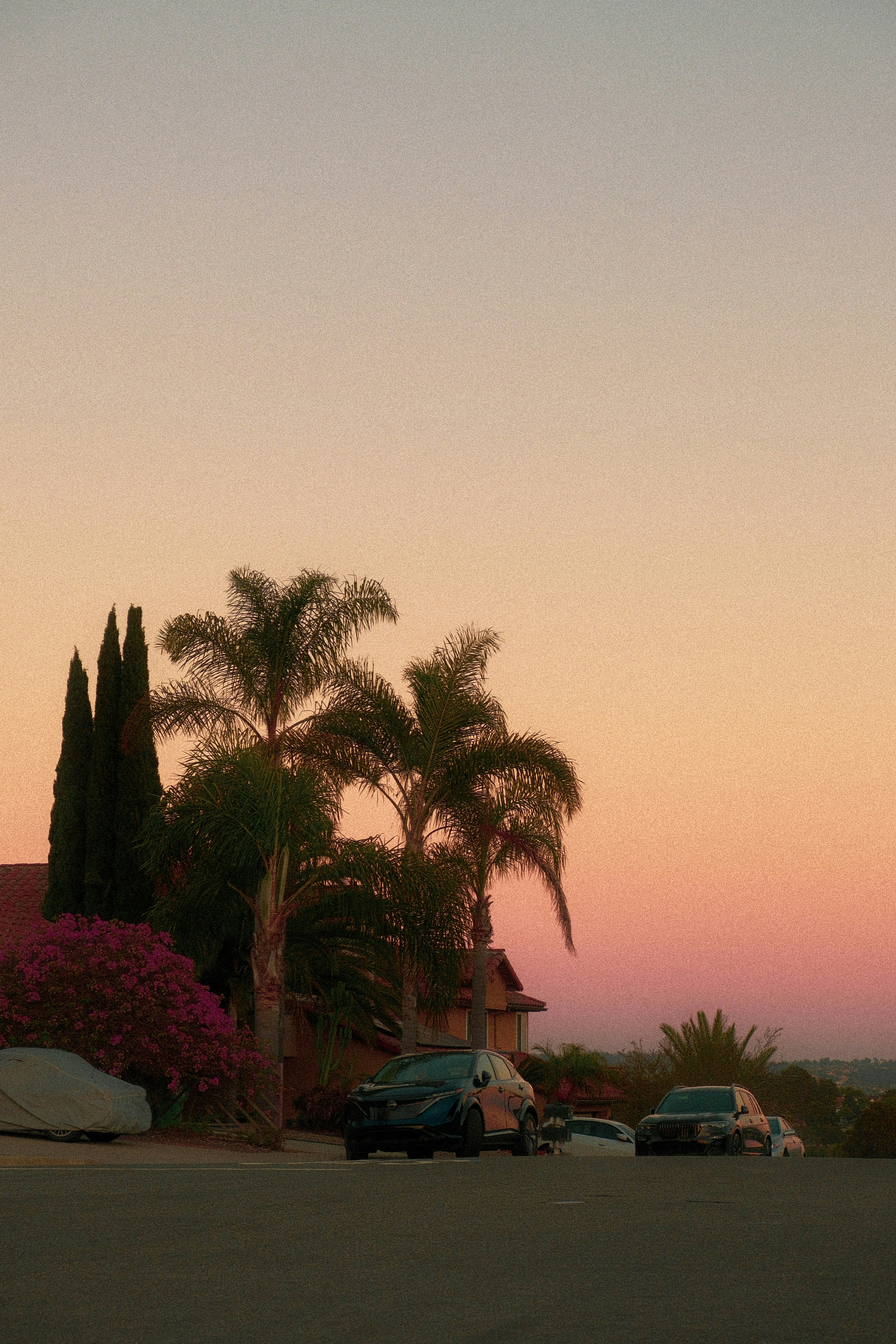 Sunset Driveway: Palm silhouettes and parked cars under pastel sky