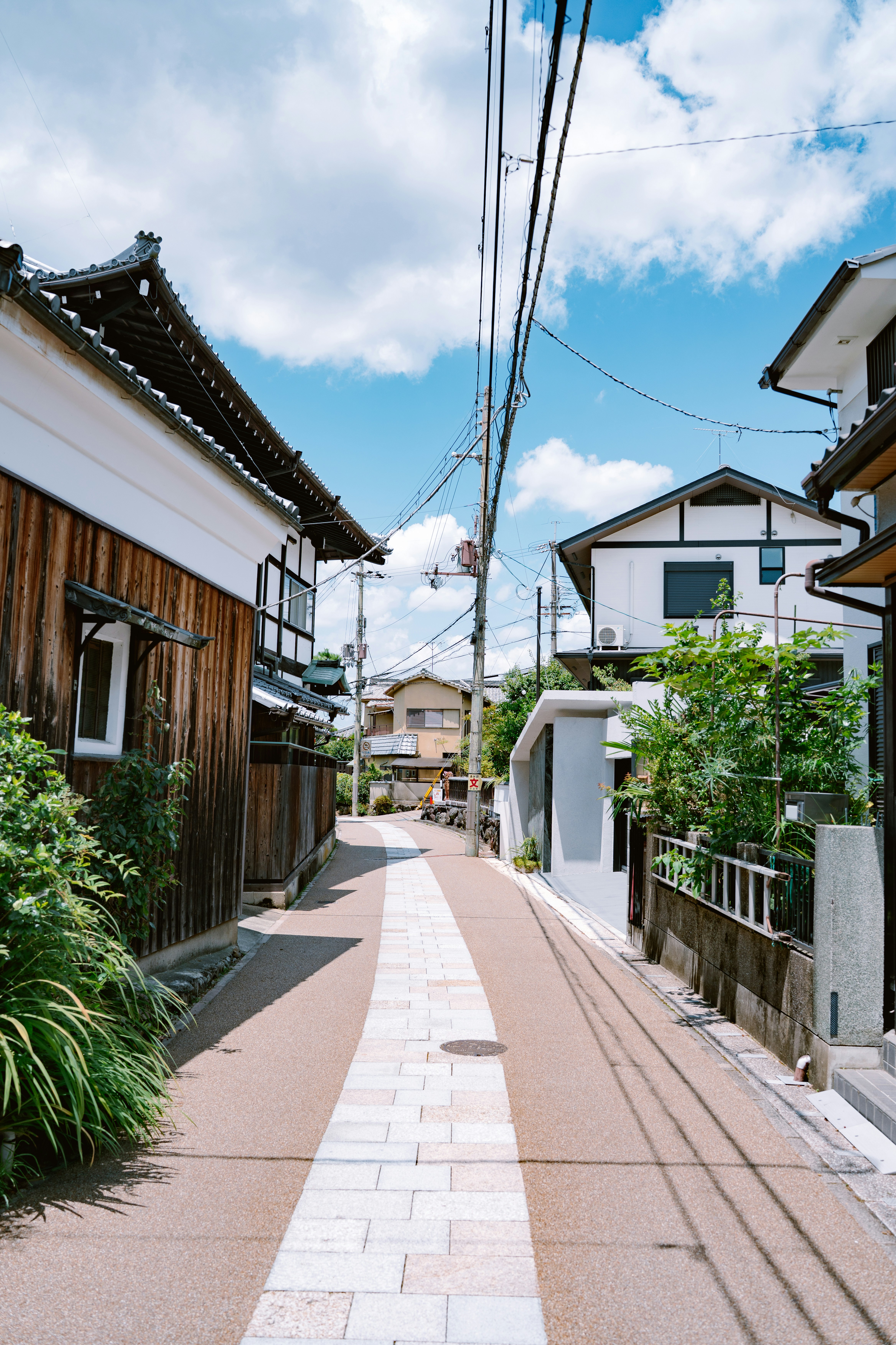 Sunlit Japanese Street: A Quiet Corridor of Wood and Modern Homes