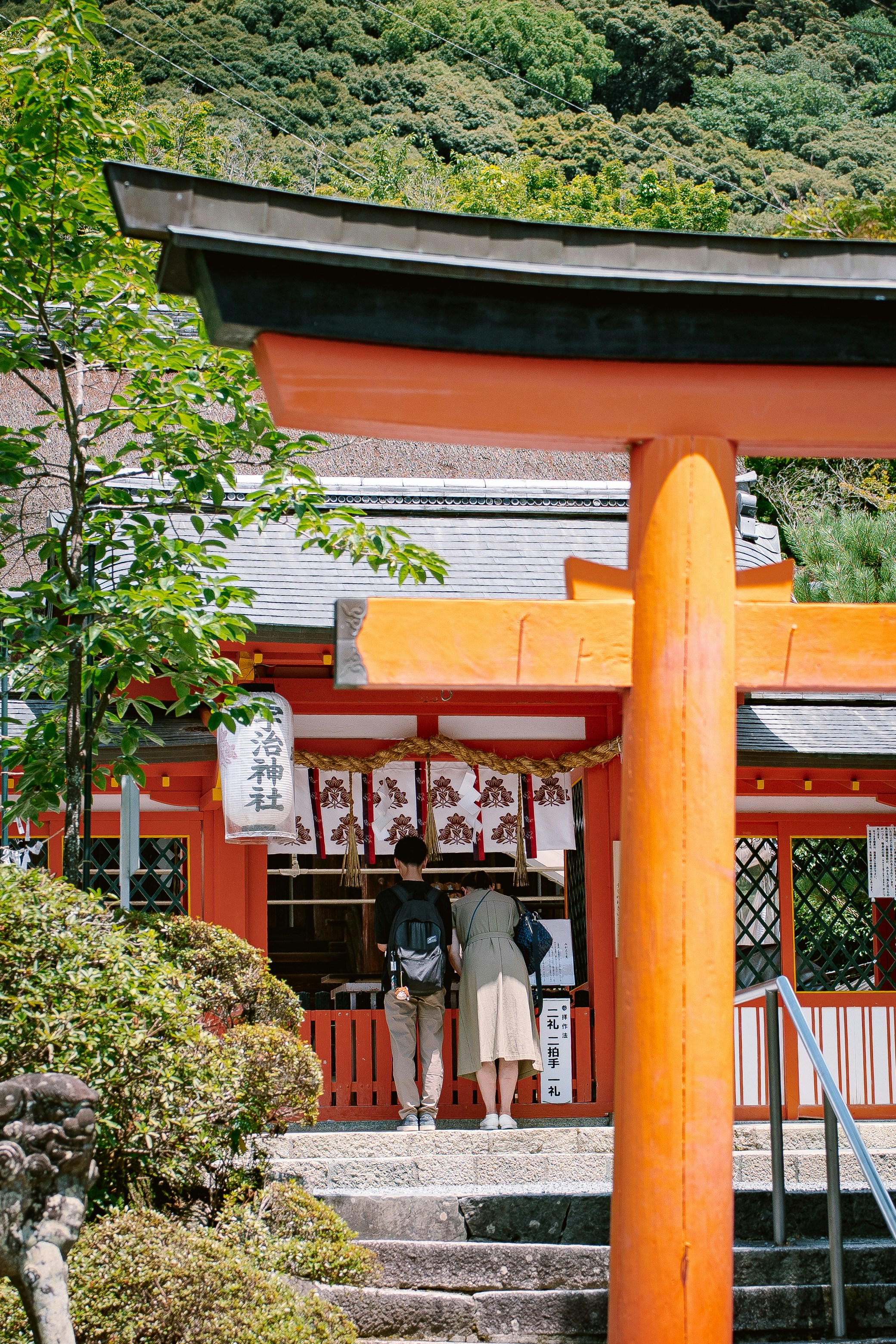 Torii Gate Portrait: A Couple Reveres at a Vibrant Shinto Shrine