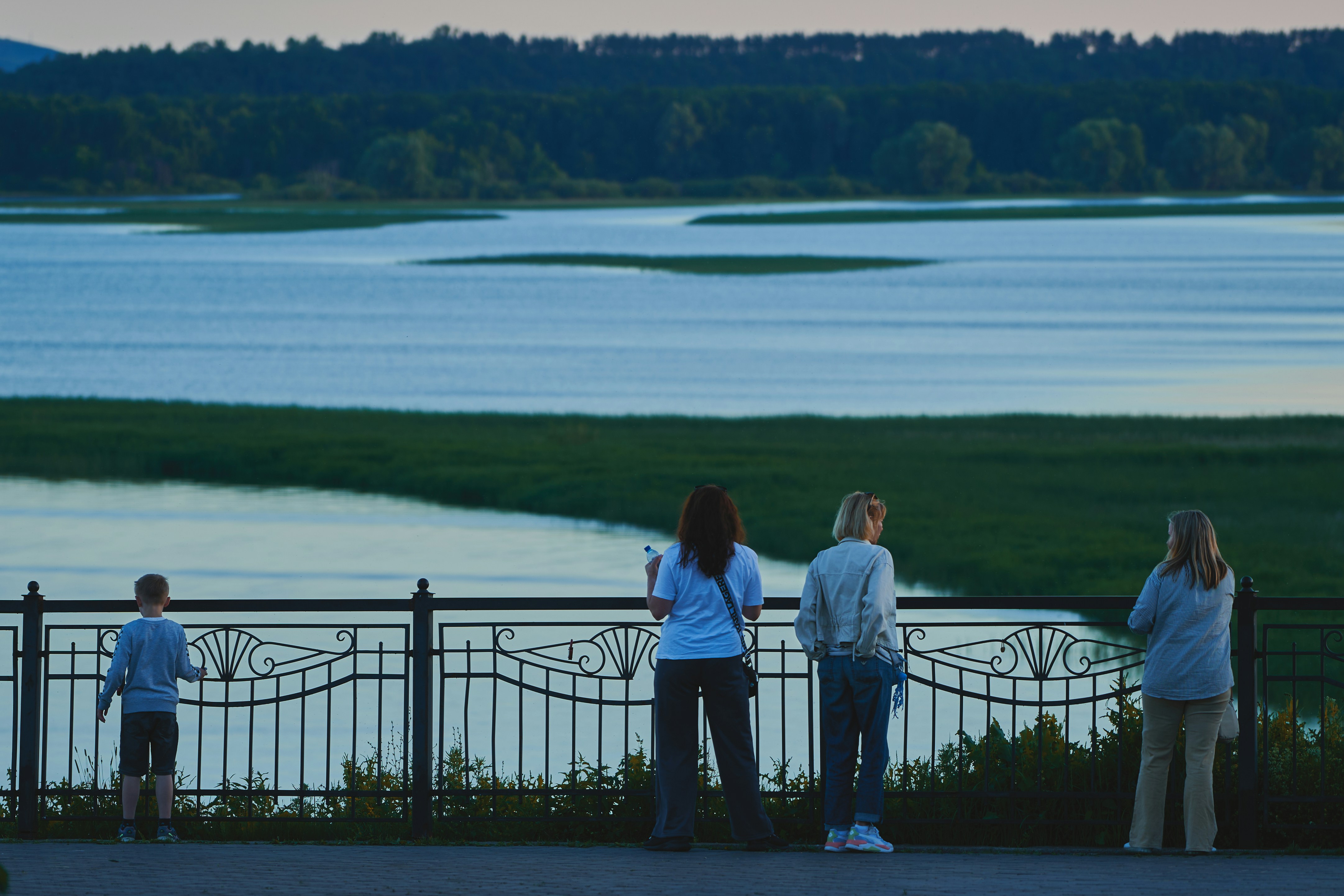 Windows to the Wetlands: Observers on the Viewing Path