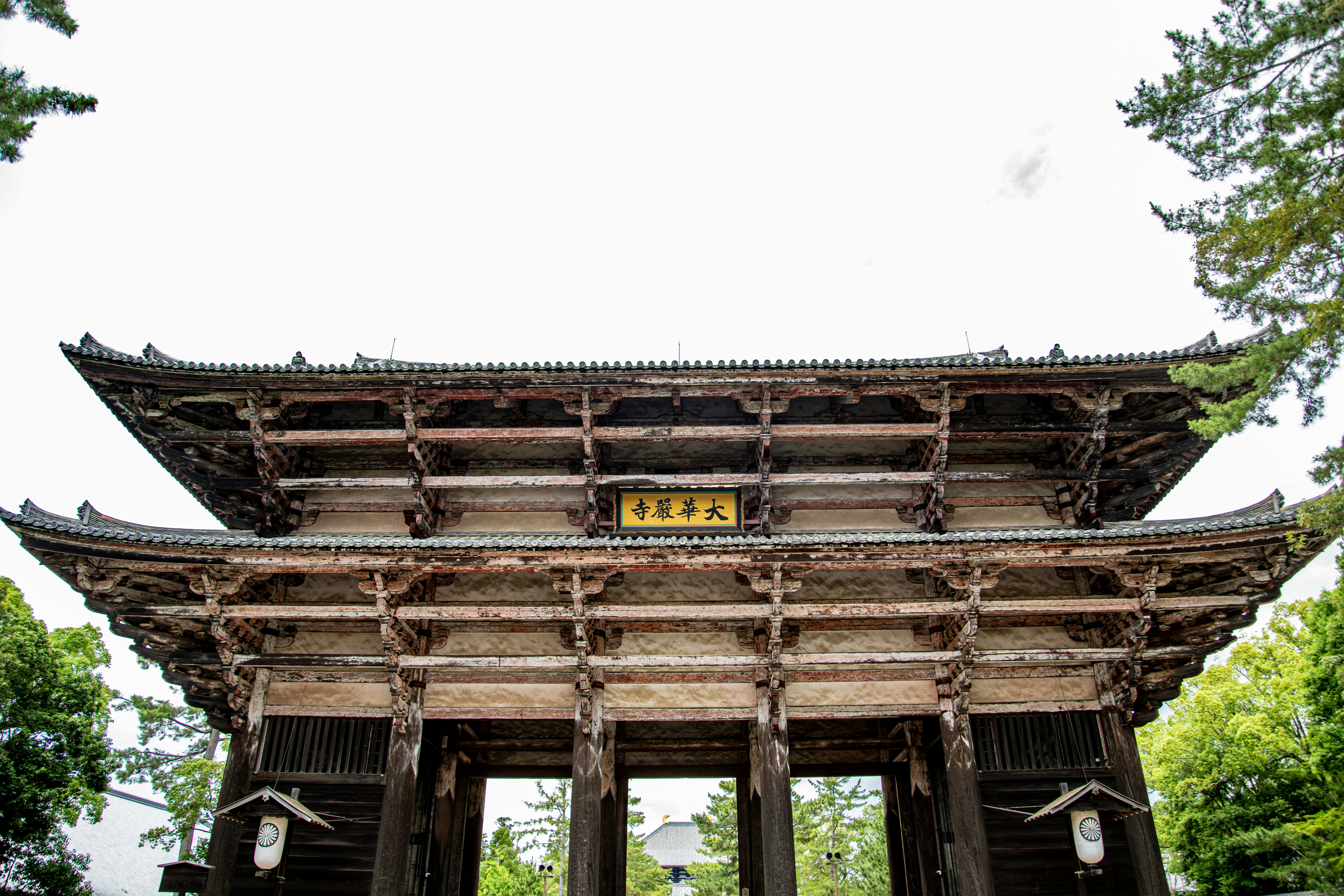 Gateway of Time: A Traditional Temple Gate Framed by Cedars