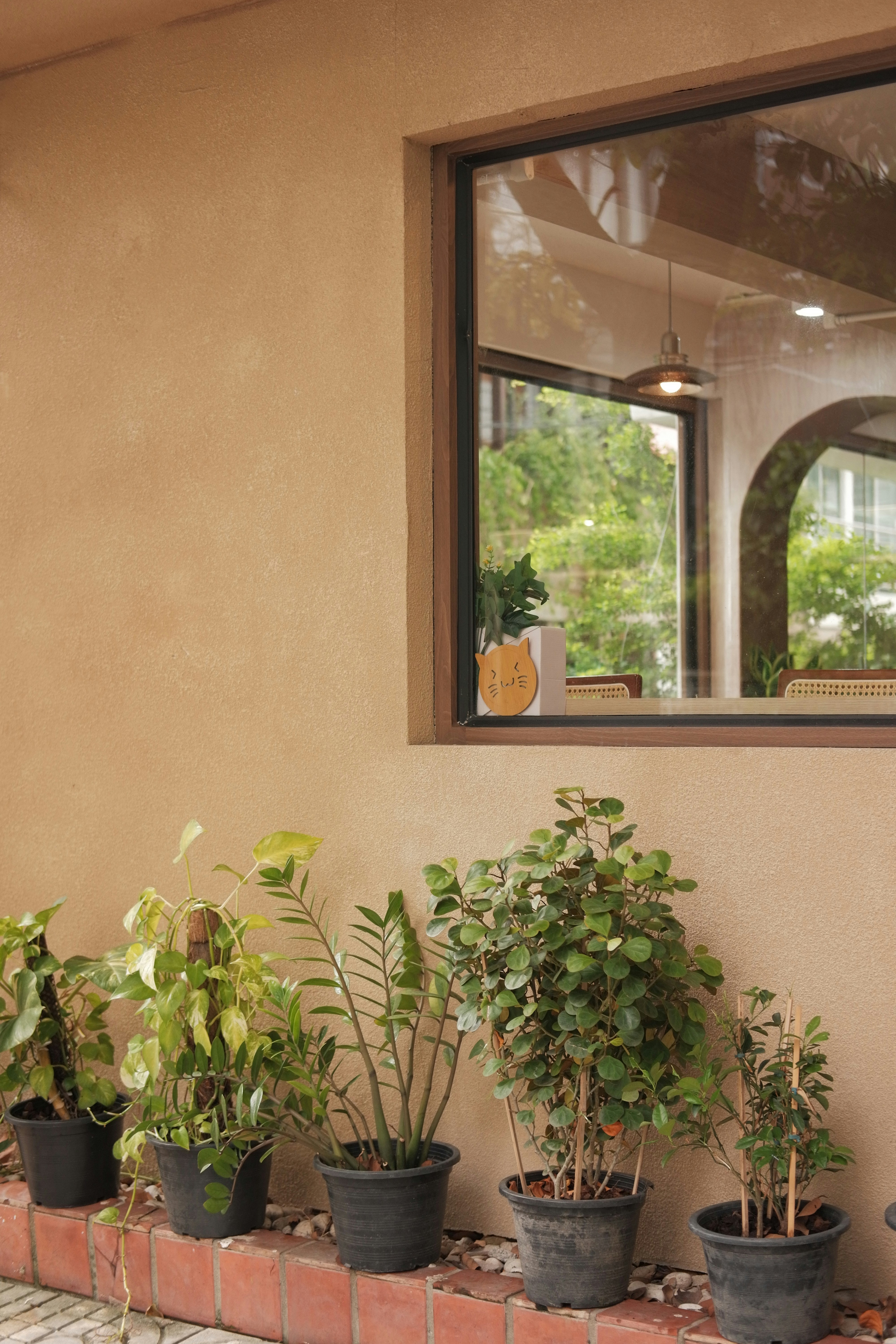 Sunlit Terrace Greens: Plant Row by a Quiet Window