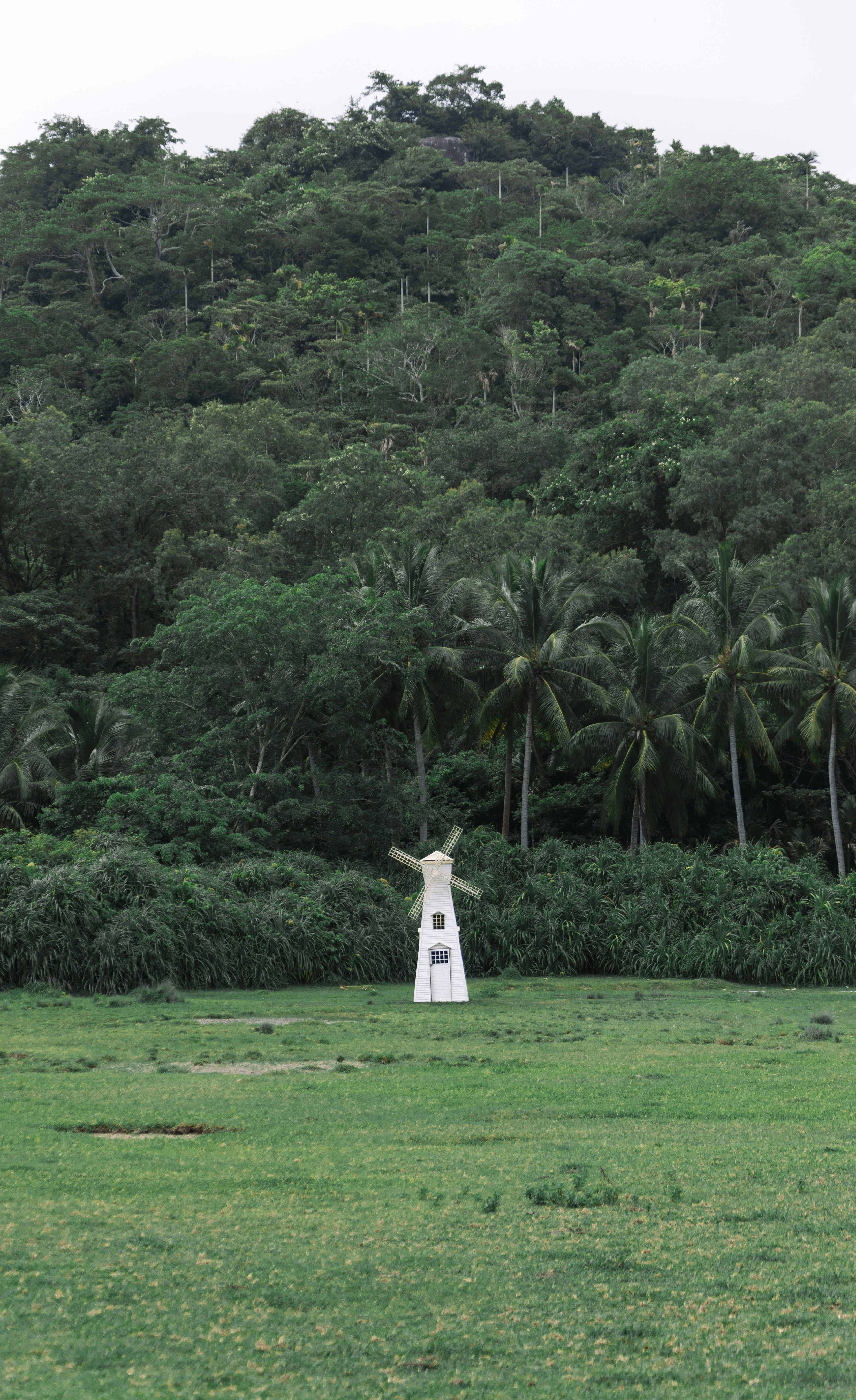 White Windmill on a Green Field Framed by Tropical Forest