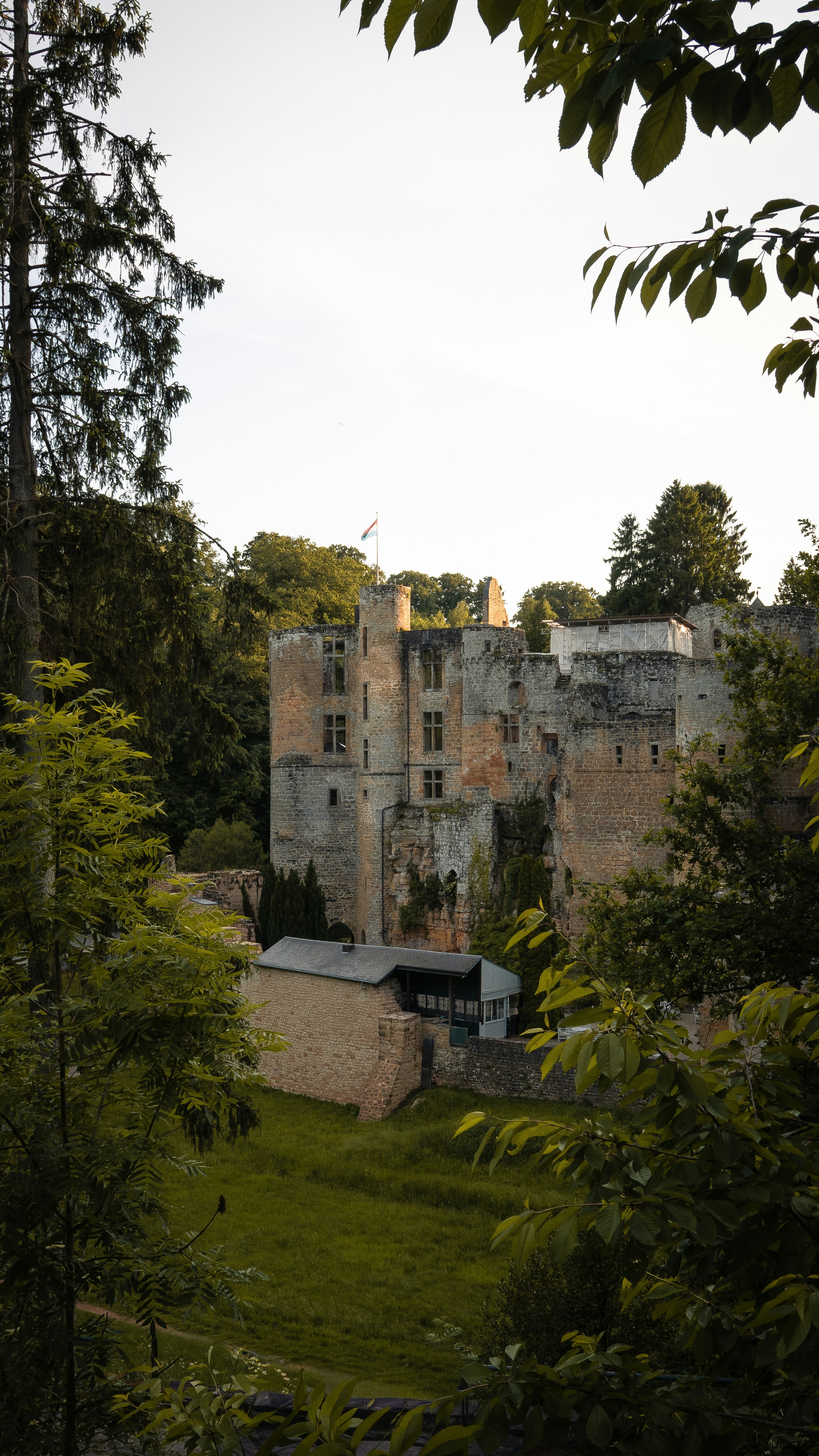 Castle in the Clearing: Stones, Trees, and Time