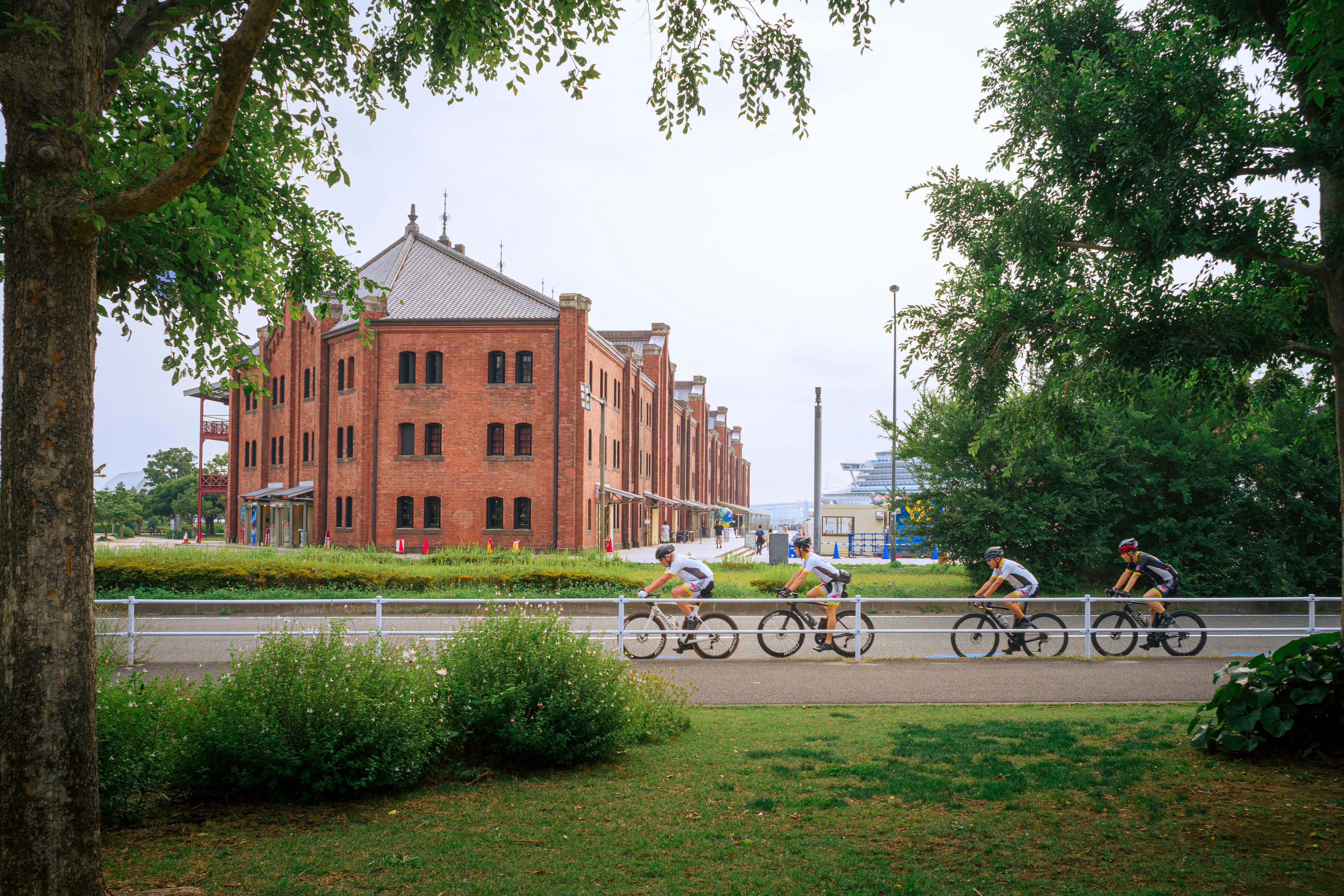 Brick Factory Row and Cyclist Parade as Trees Framing a City Edge