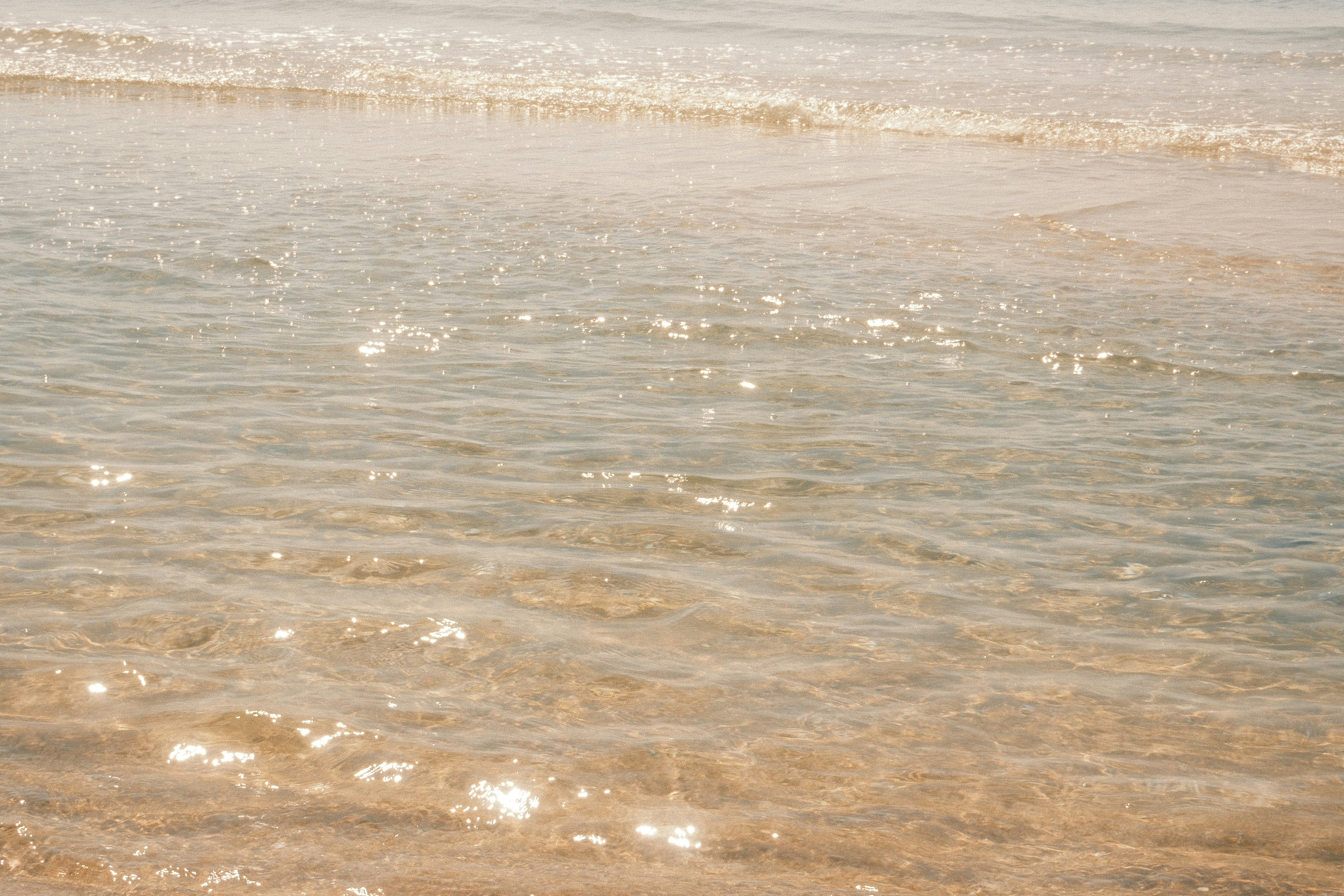 Sunlit Tide: A Gleaming Shore in Soft Focus