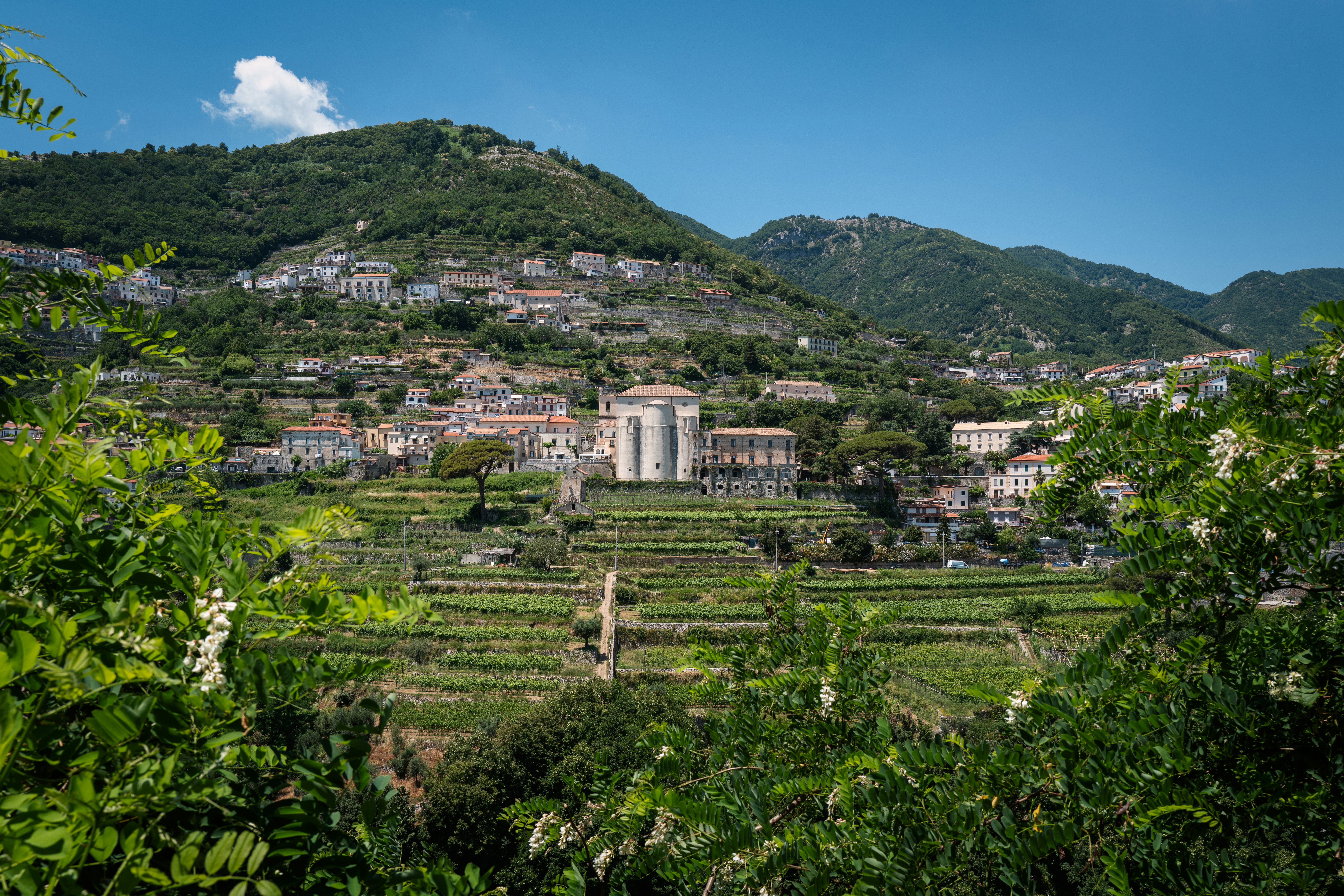 Terraced Village Rising from Green Valleys Under a Bright Alpine Sky