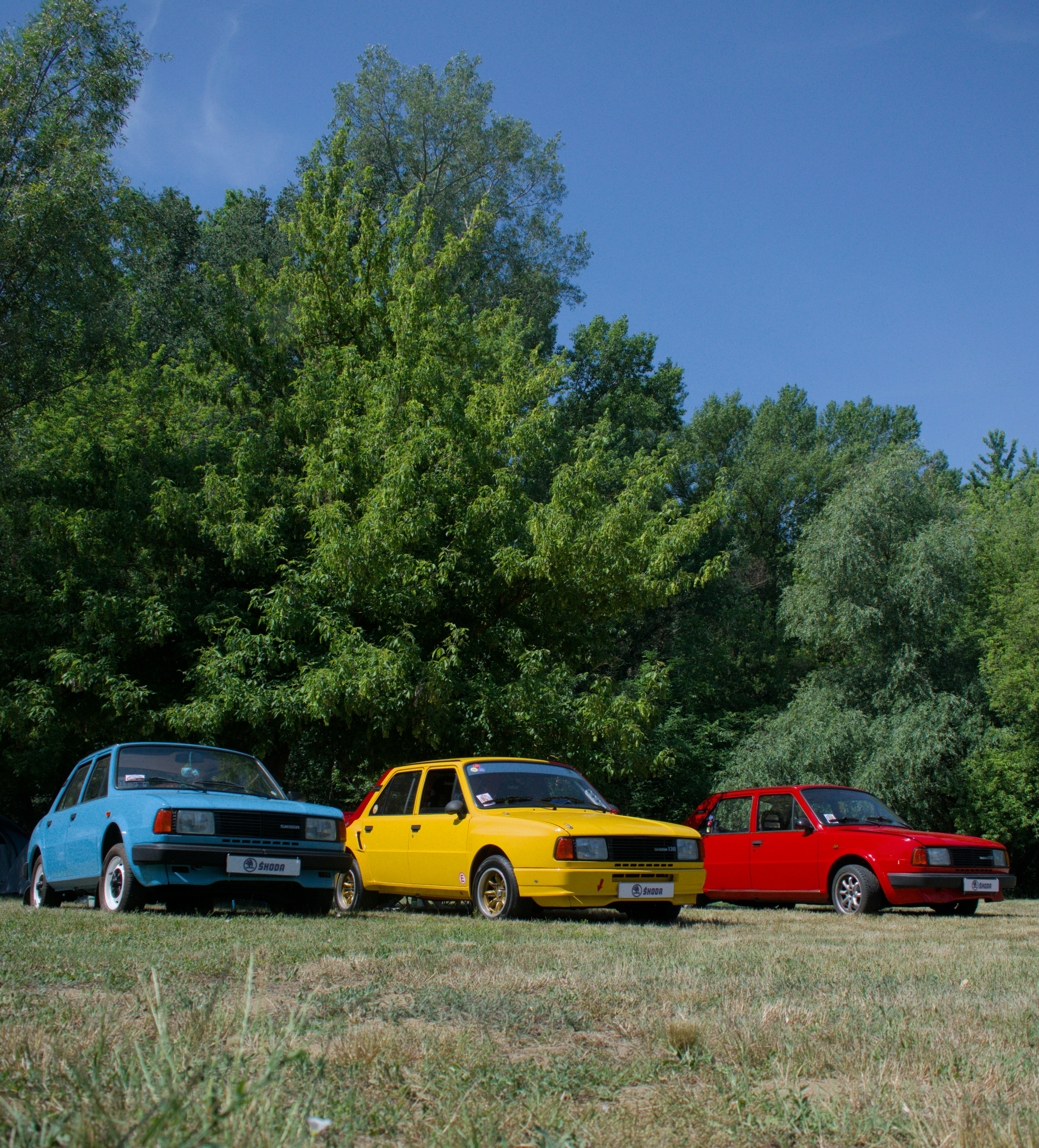 Triad of Color: Bright sedans Rest in a Sunlit Clearing