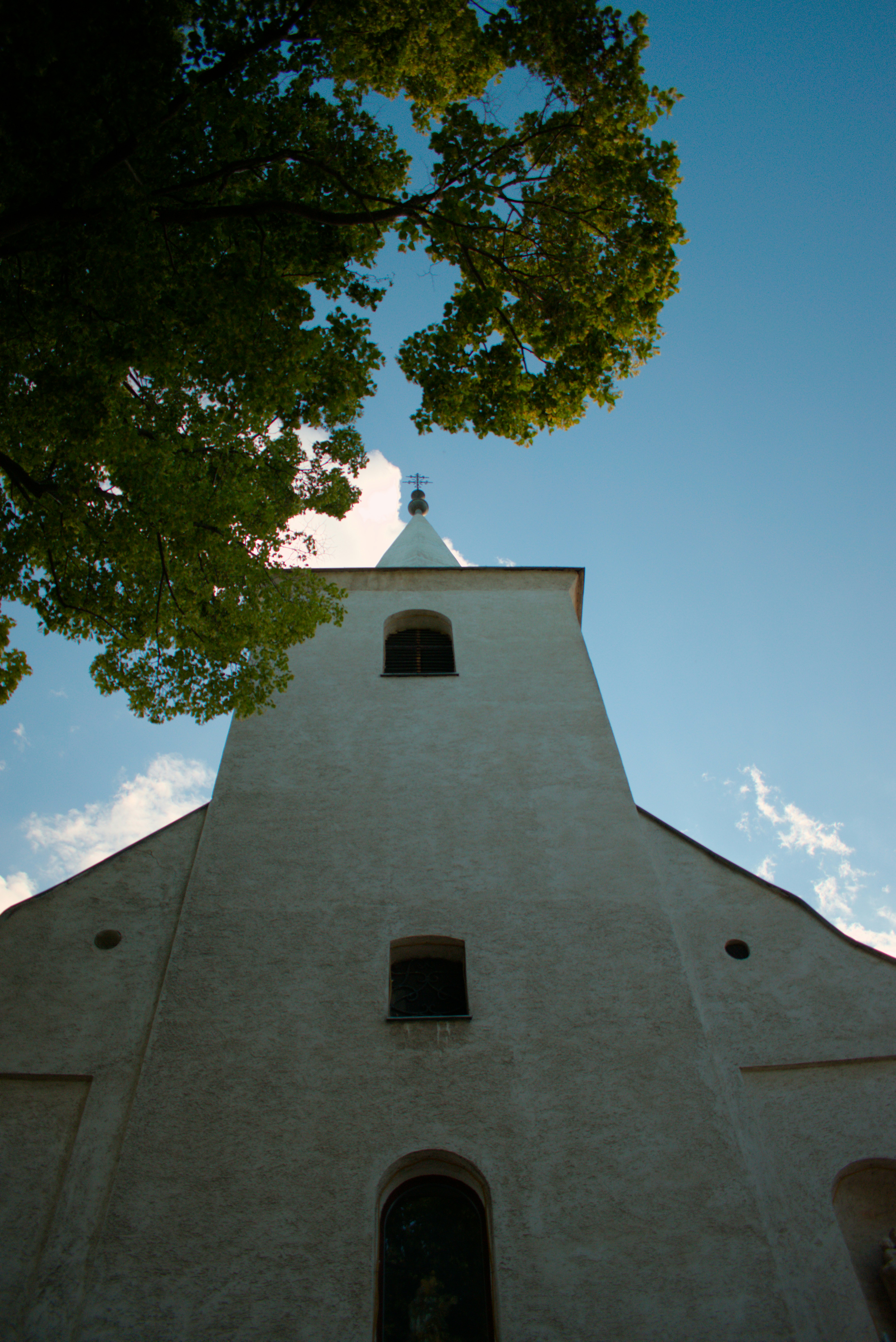Low-Angle Chapel Rising Under a Branching canopy