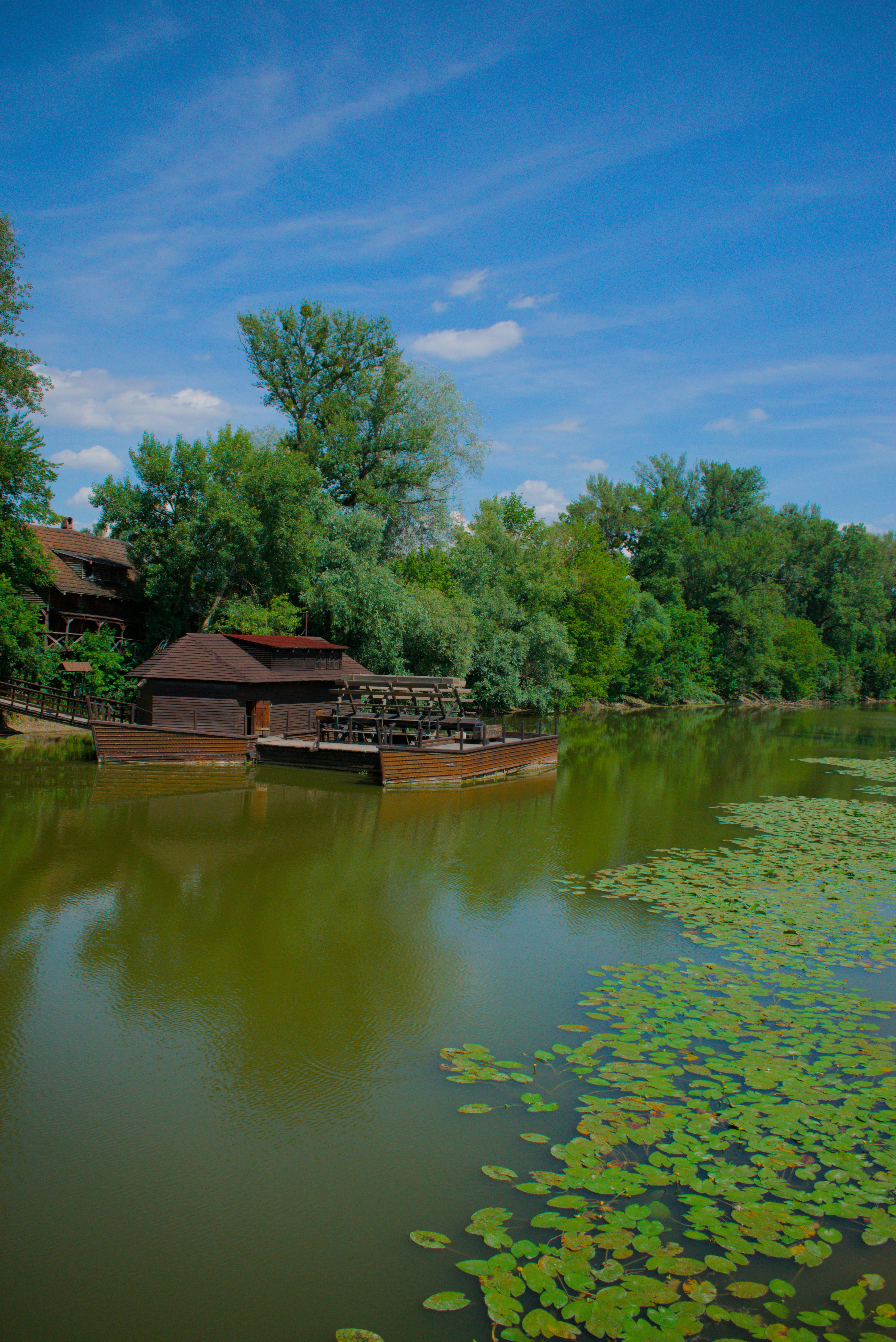 Wooden Houseboat Retreat Along a Lush Riverside