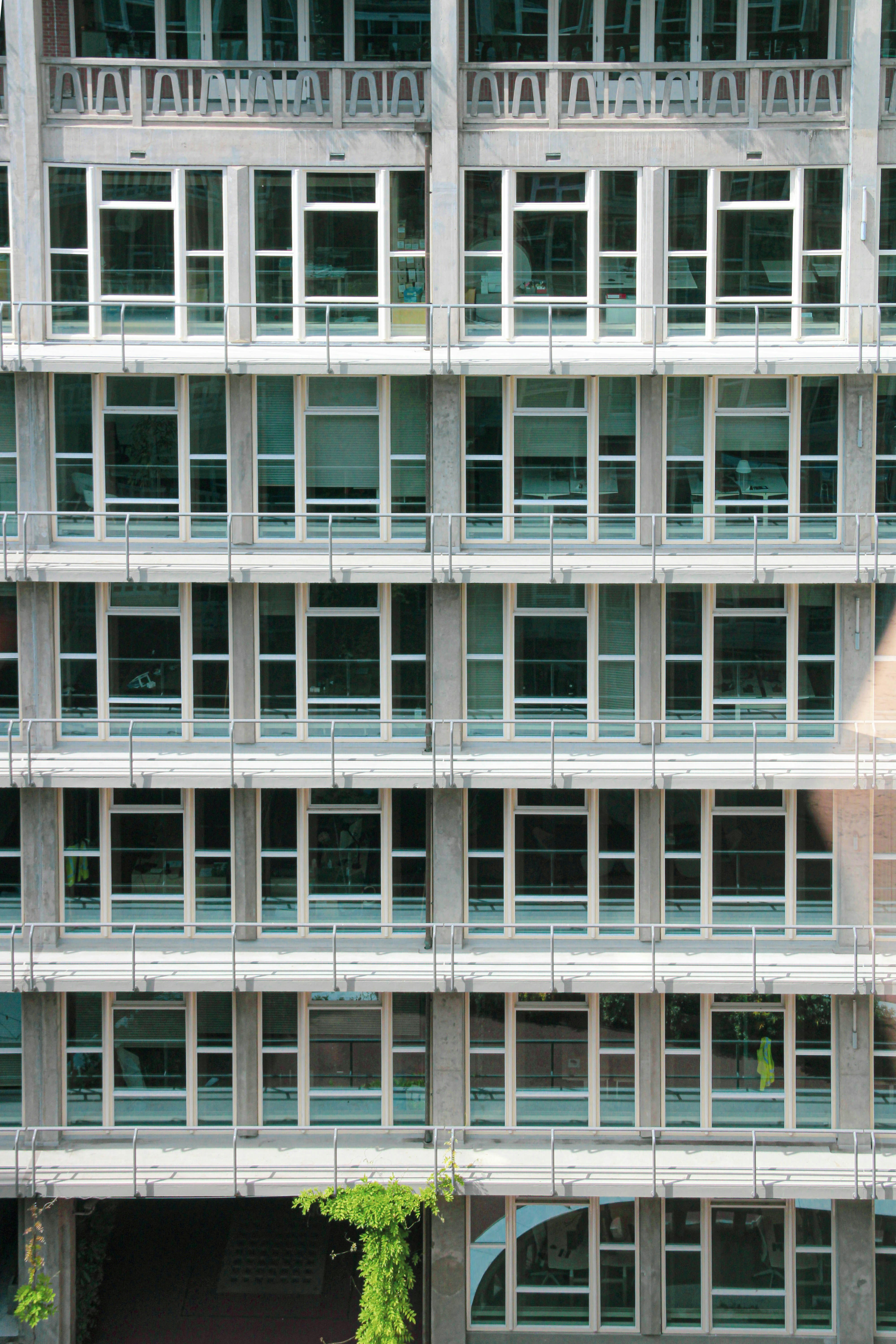Grid of Glass and Concrete: A Modernist Office Façade
