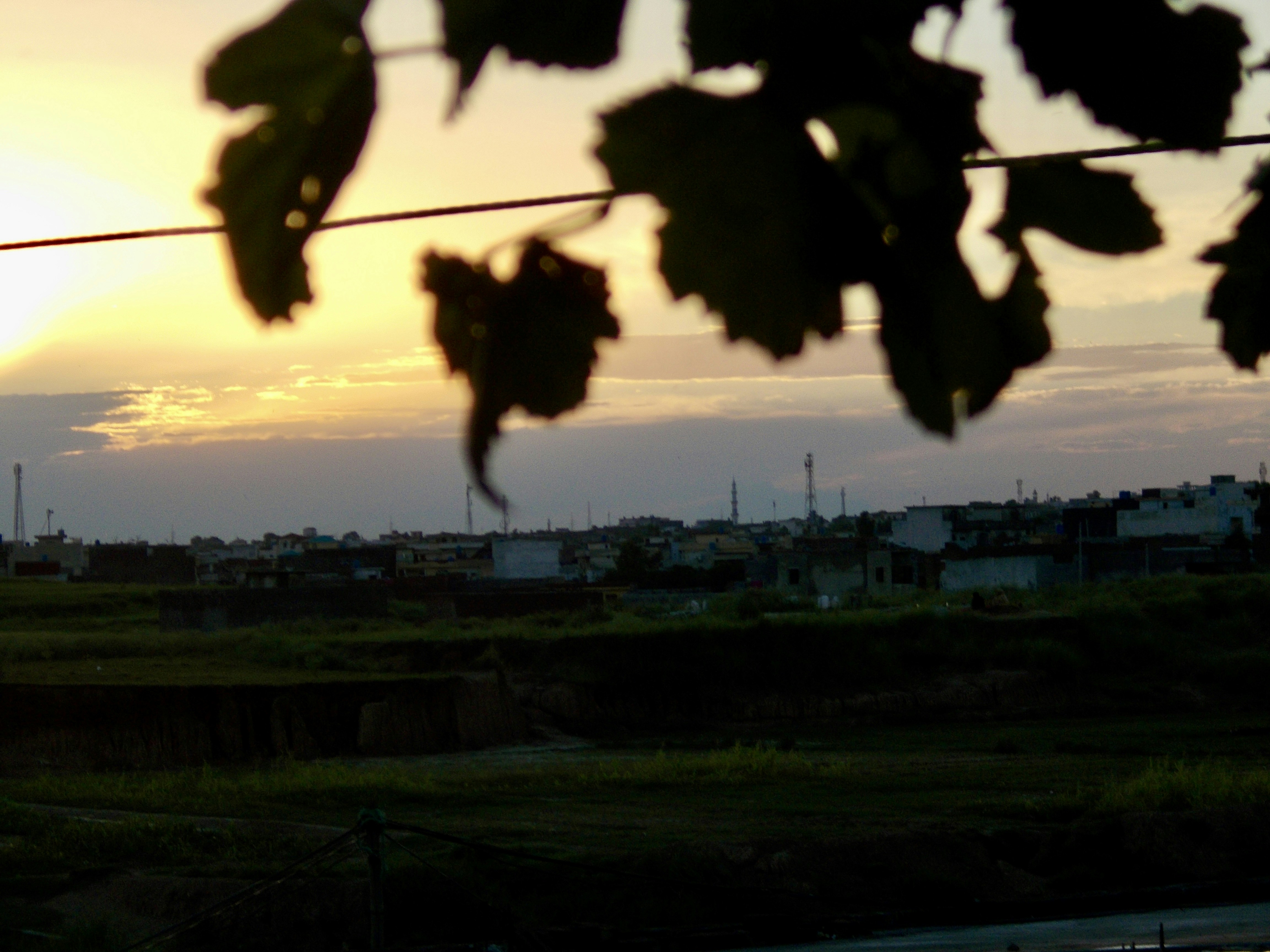 Dusk over the Townline: Silhouettes Beneath Overhanging Foliage