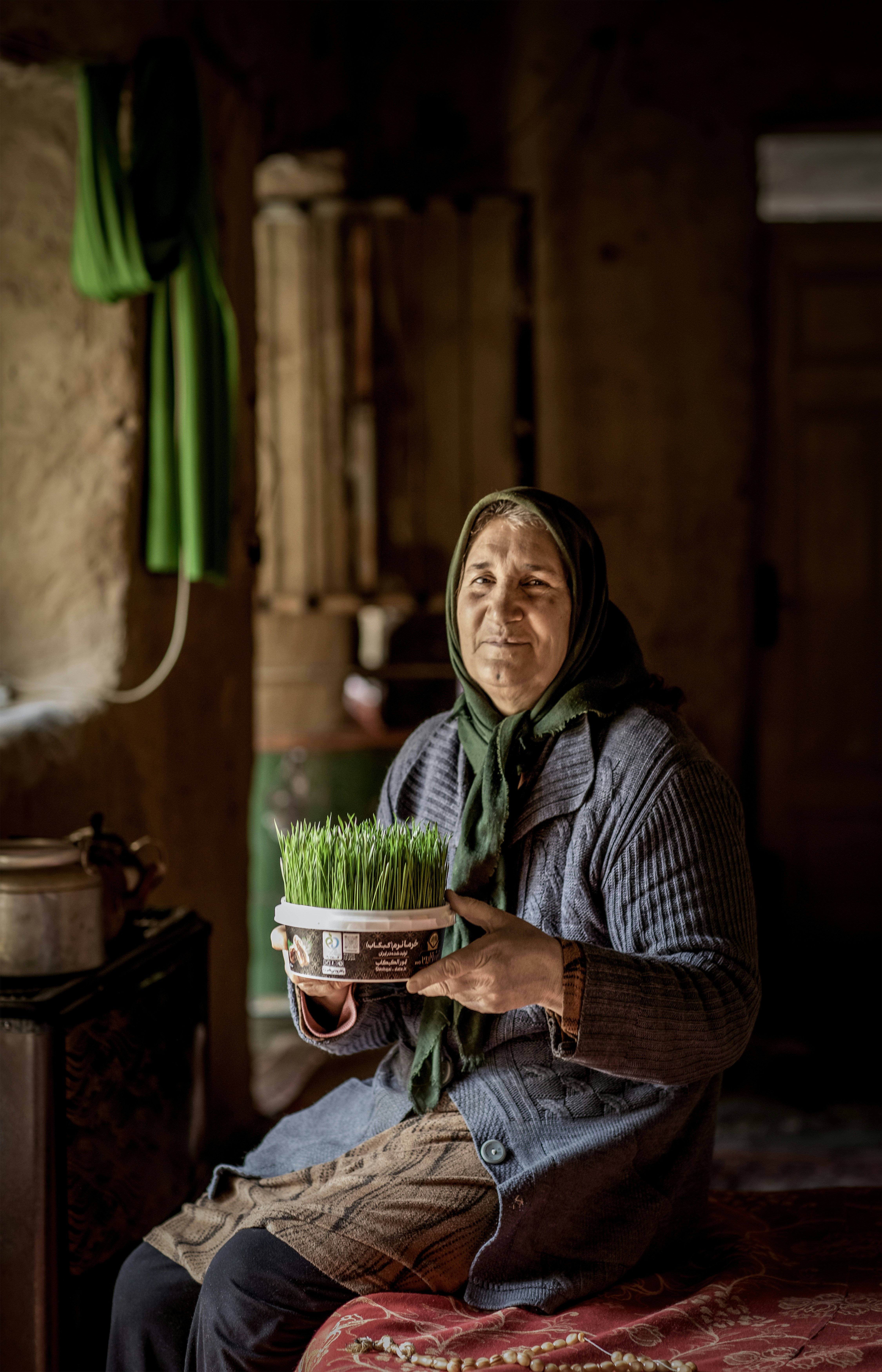 Herbal Harvest in Quiet Light