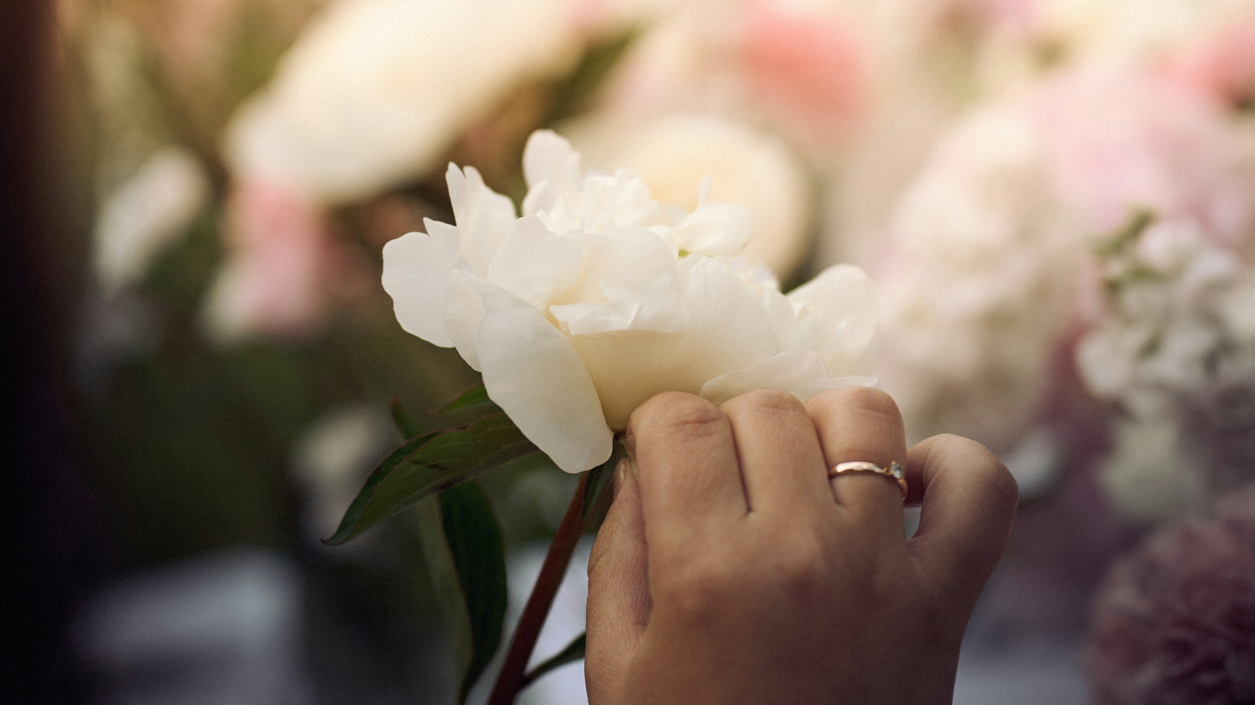 Petal Exchange: Delicate Hands and a White Bouquet