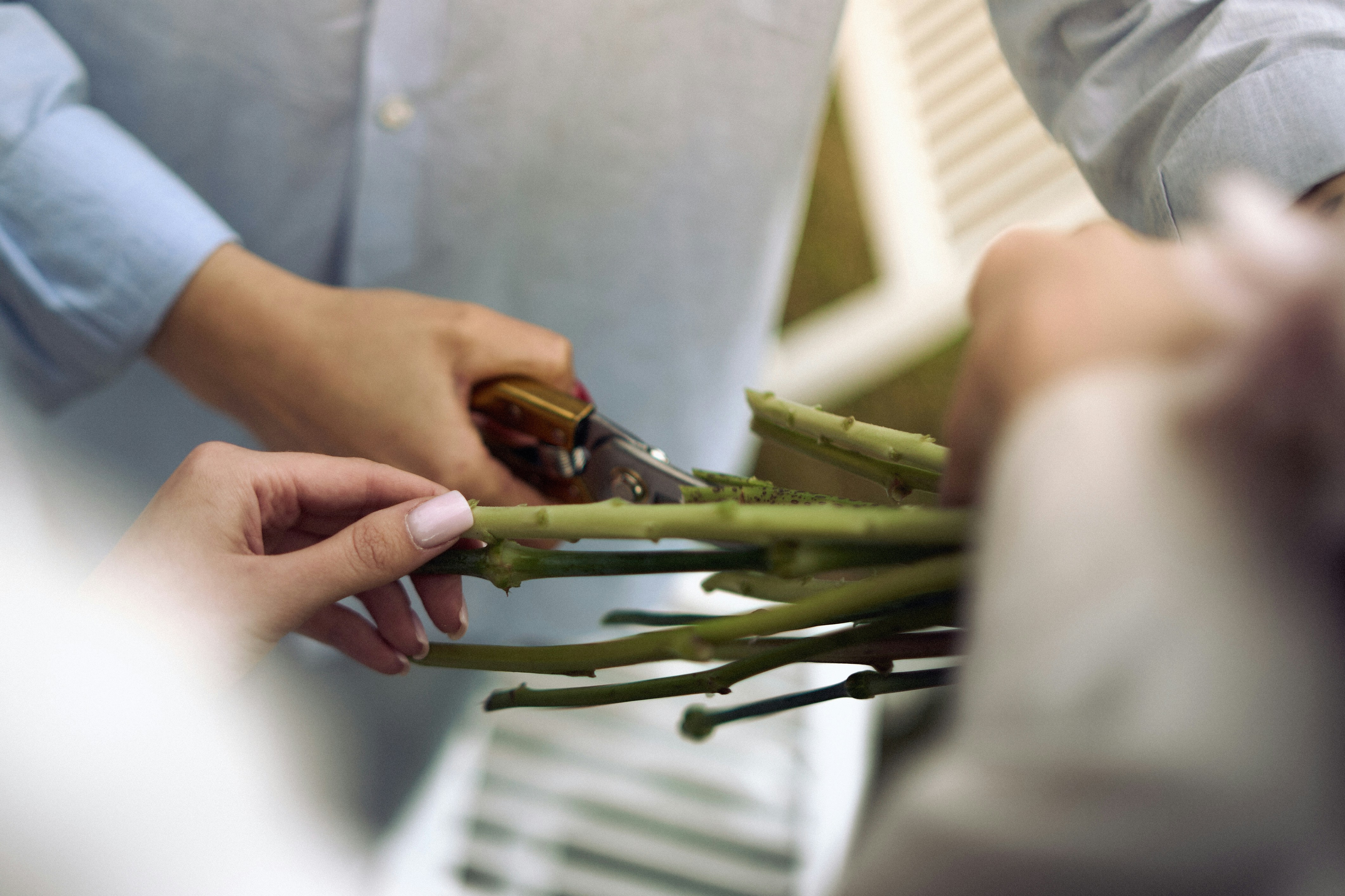 Hands at Work: Pruning Safety with Garden Shears