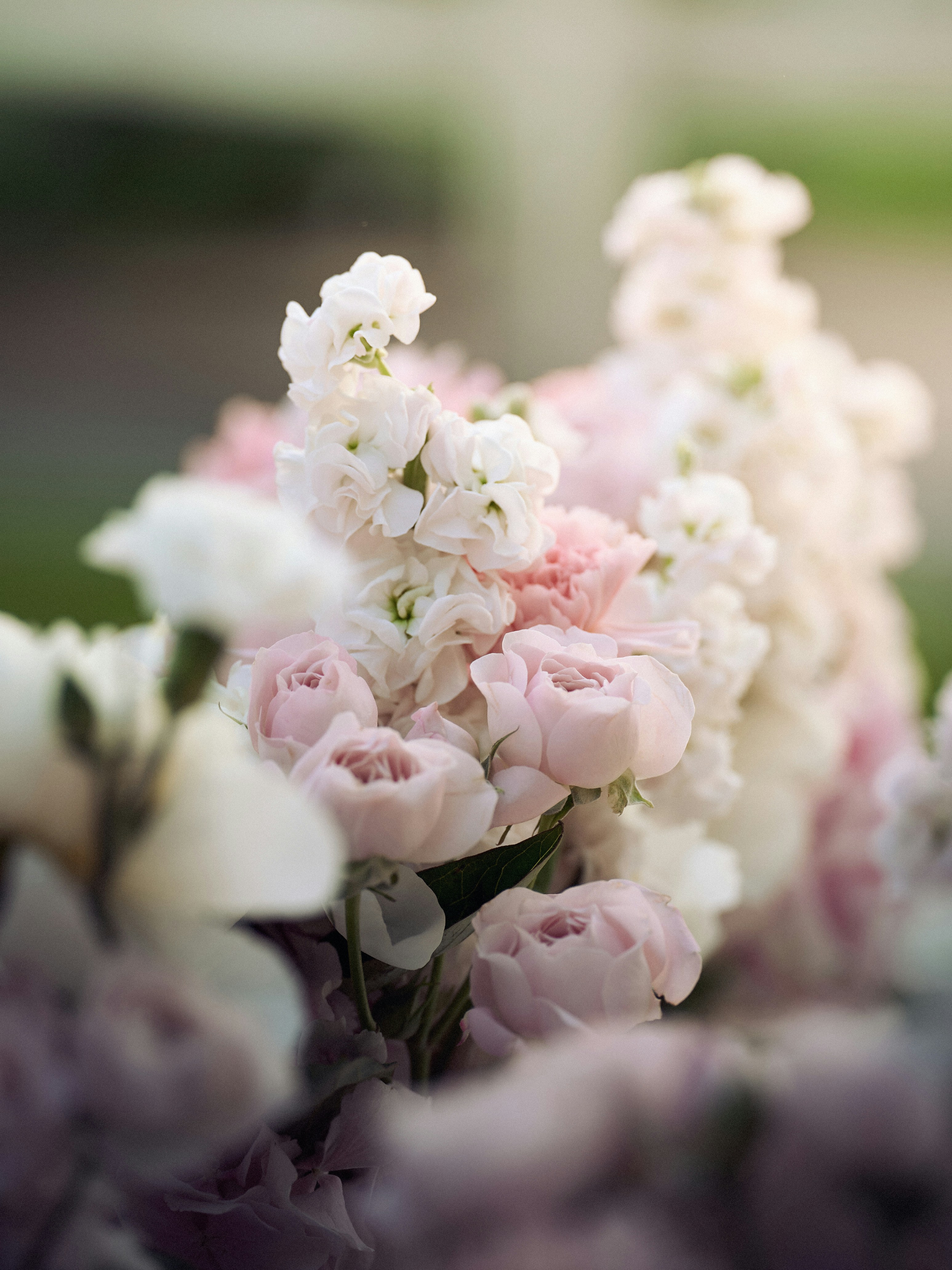 Soft Petals in Focus: Pale Roses and White Florals Cascade