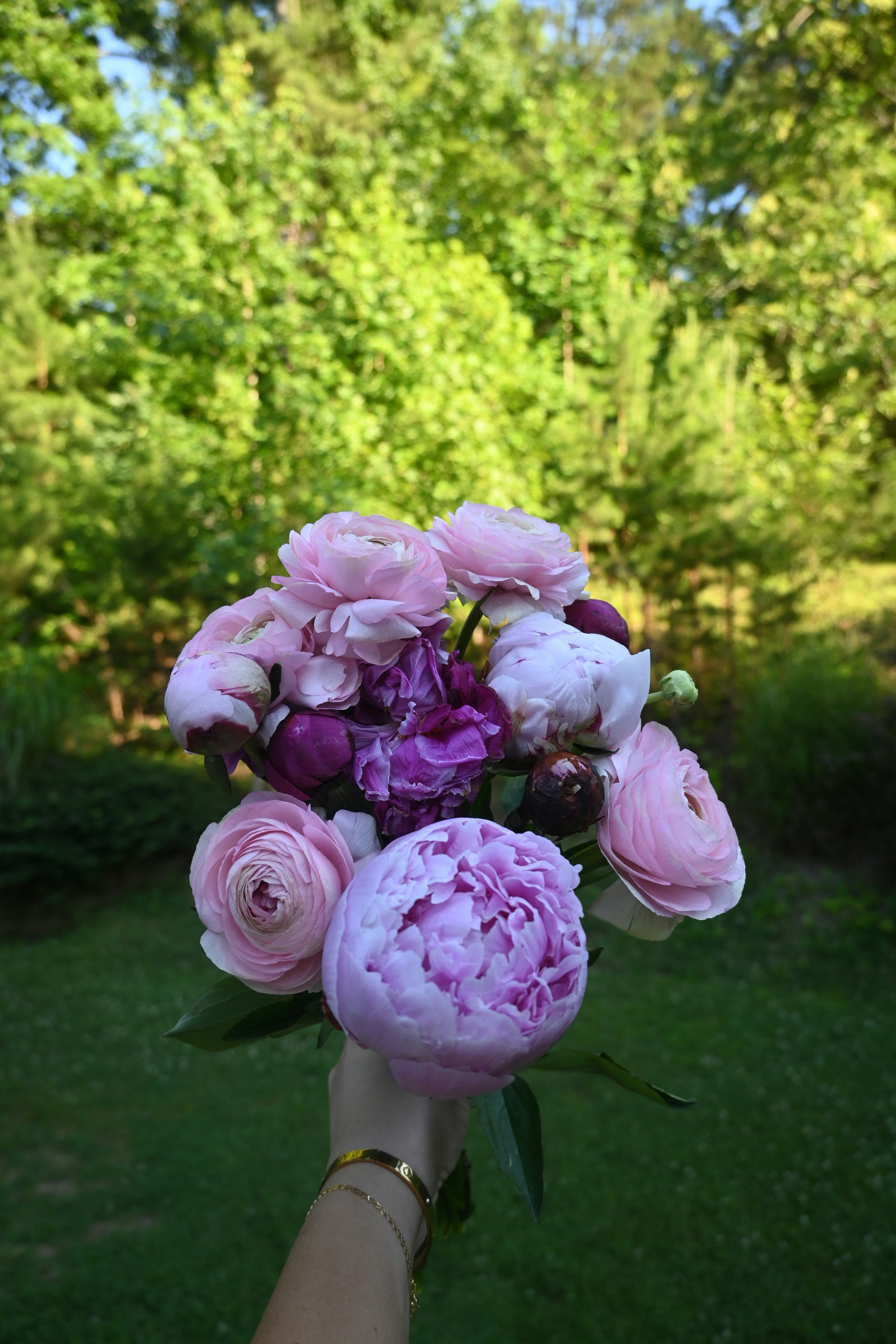 Blush Bouquet Raised to the Light