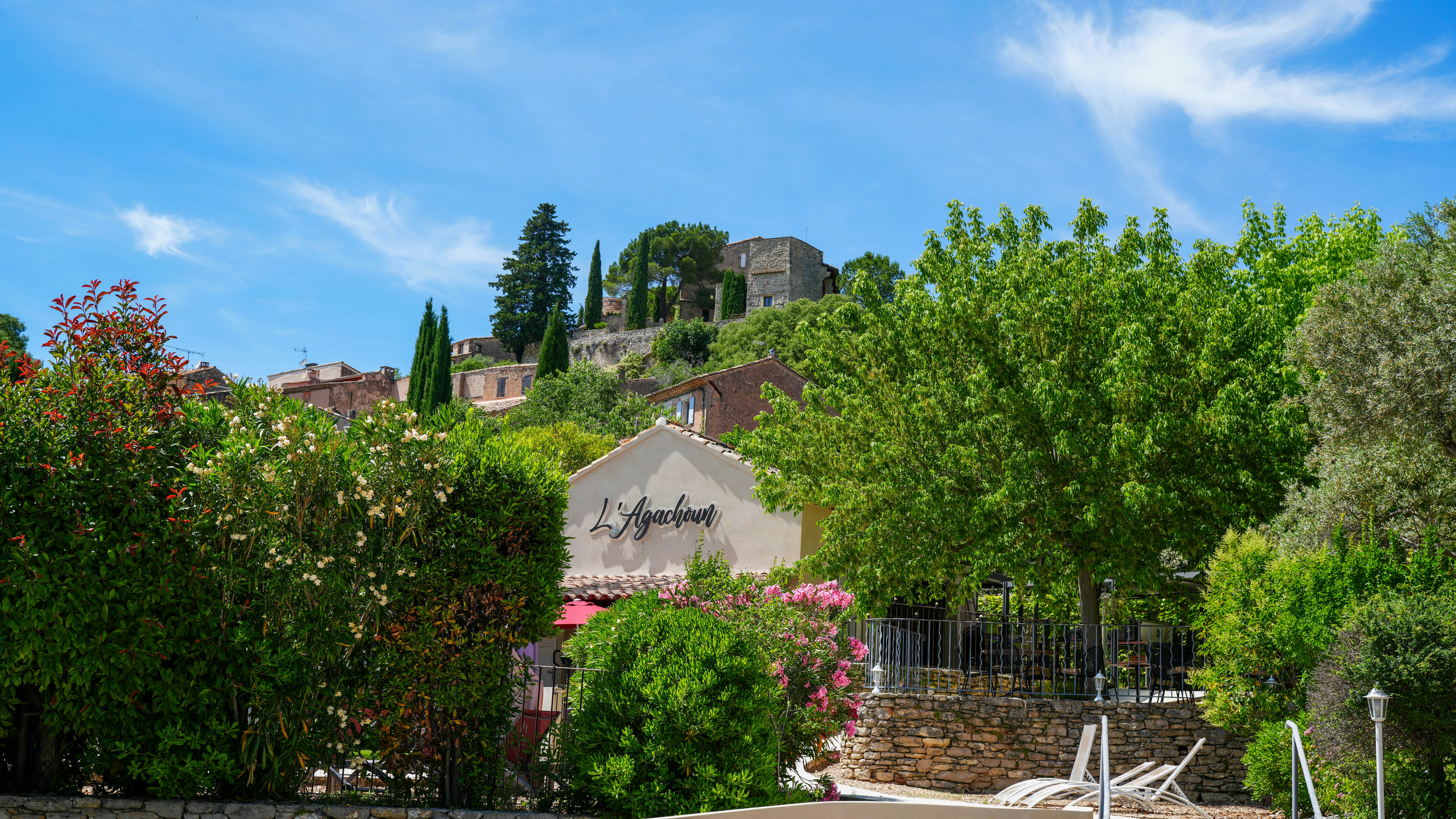 Cascading greenery and a hillside castle overlook