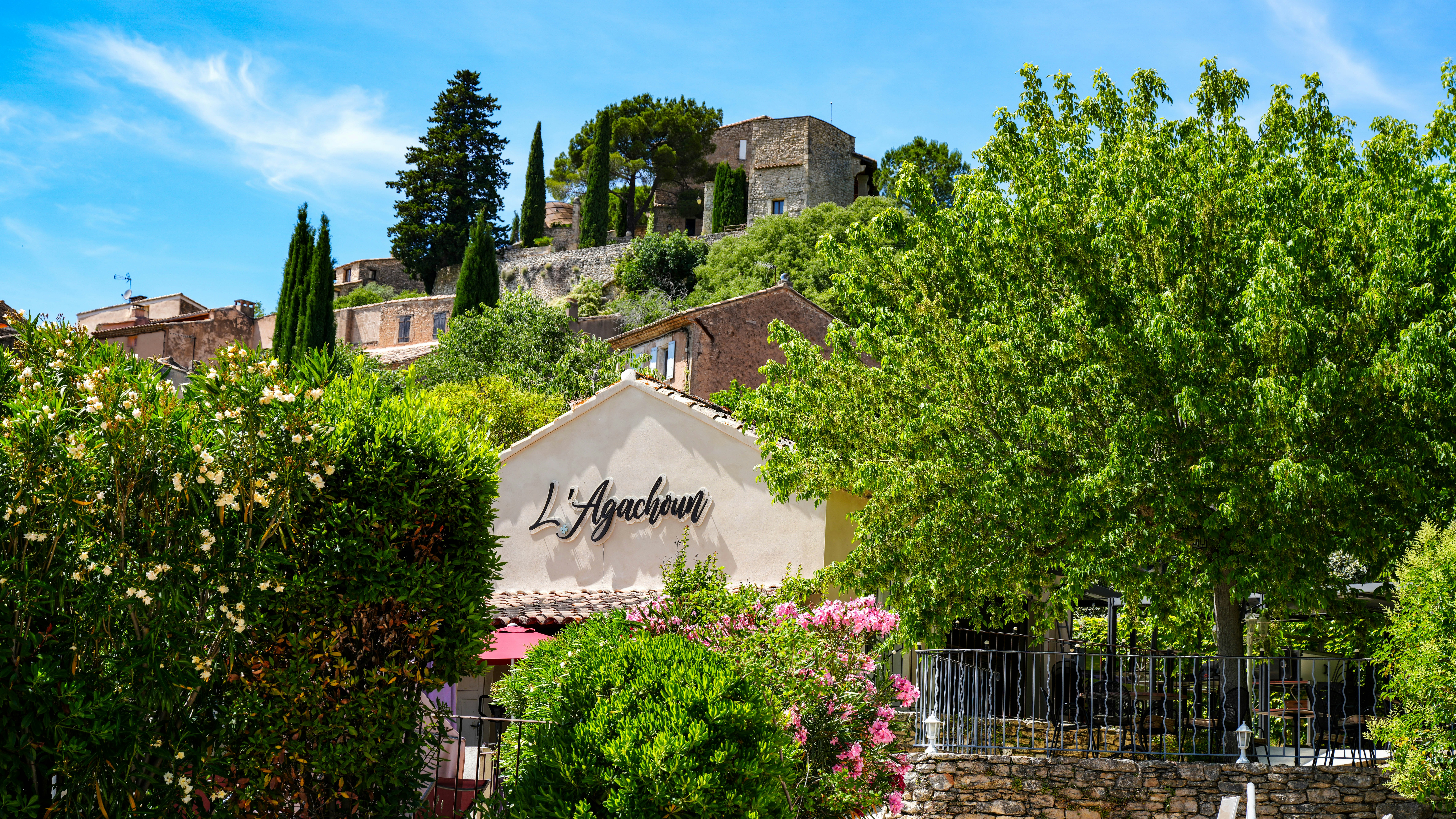 Garden Village Above the Terrace: A Sunlit Café Nestled Beneath Verdant Canopies
