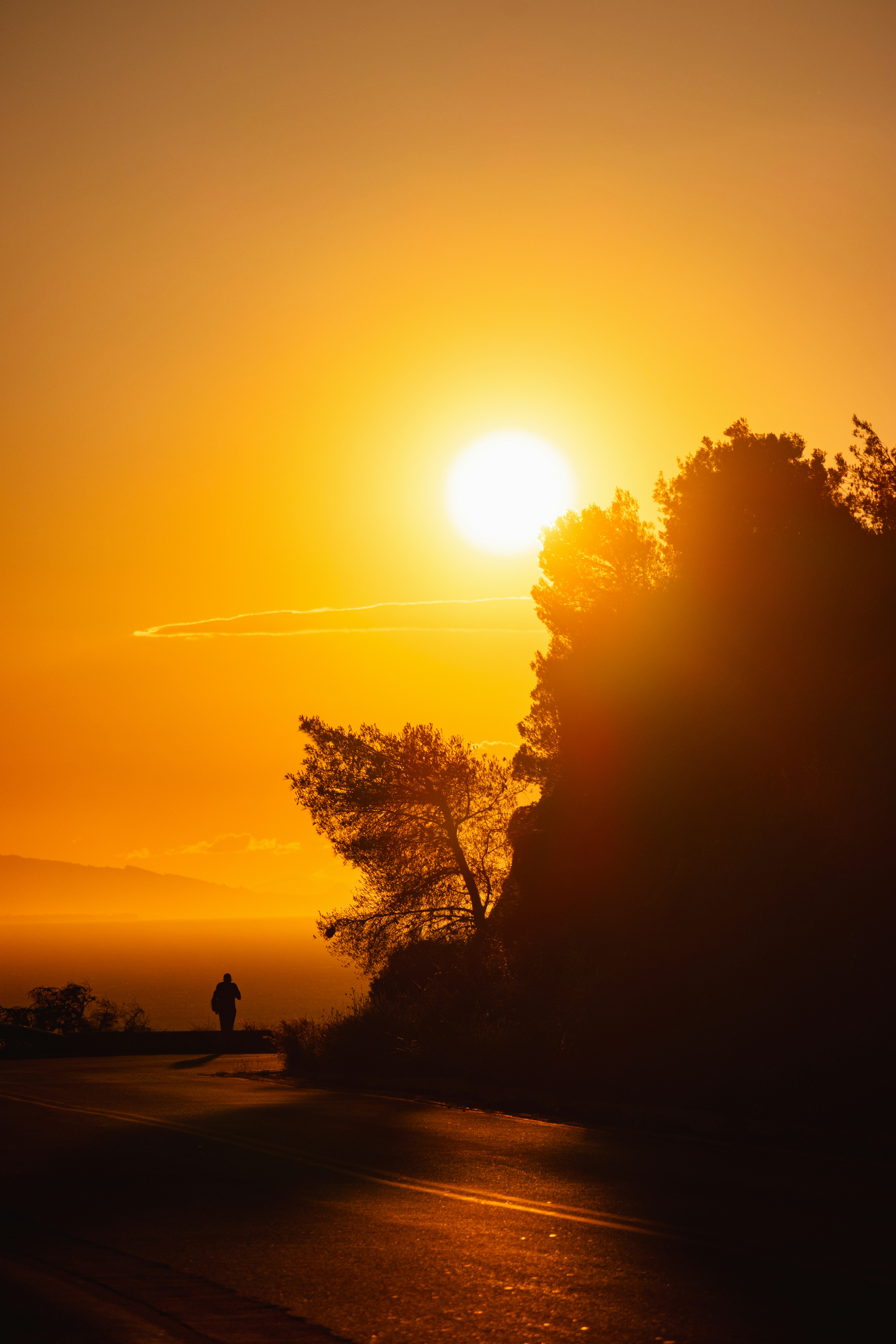 Solitary Wanderer Beneath a Desert Sun