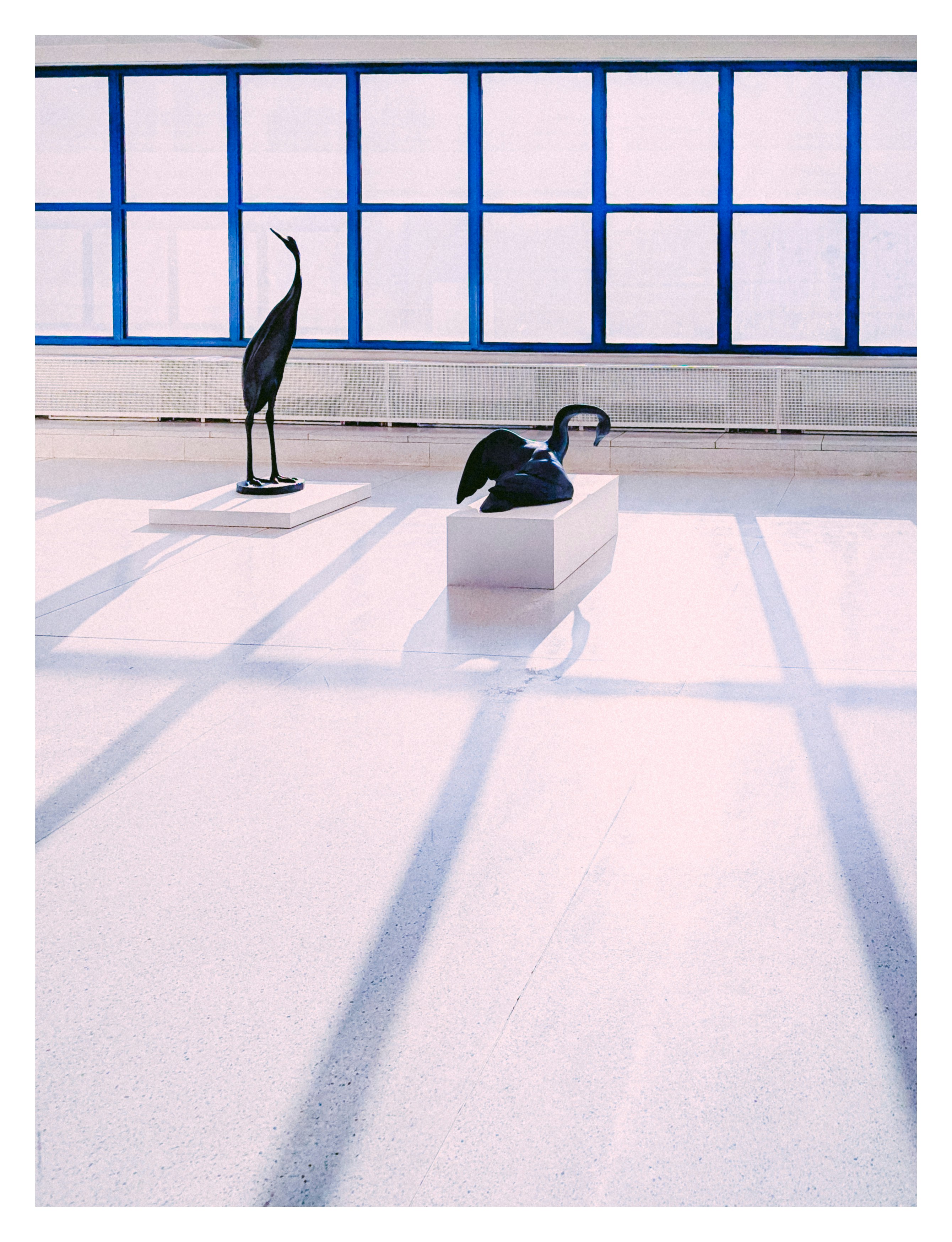 Sculpted Stillness in a Grid of Light