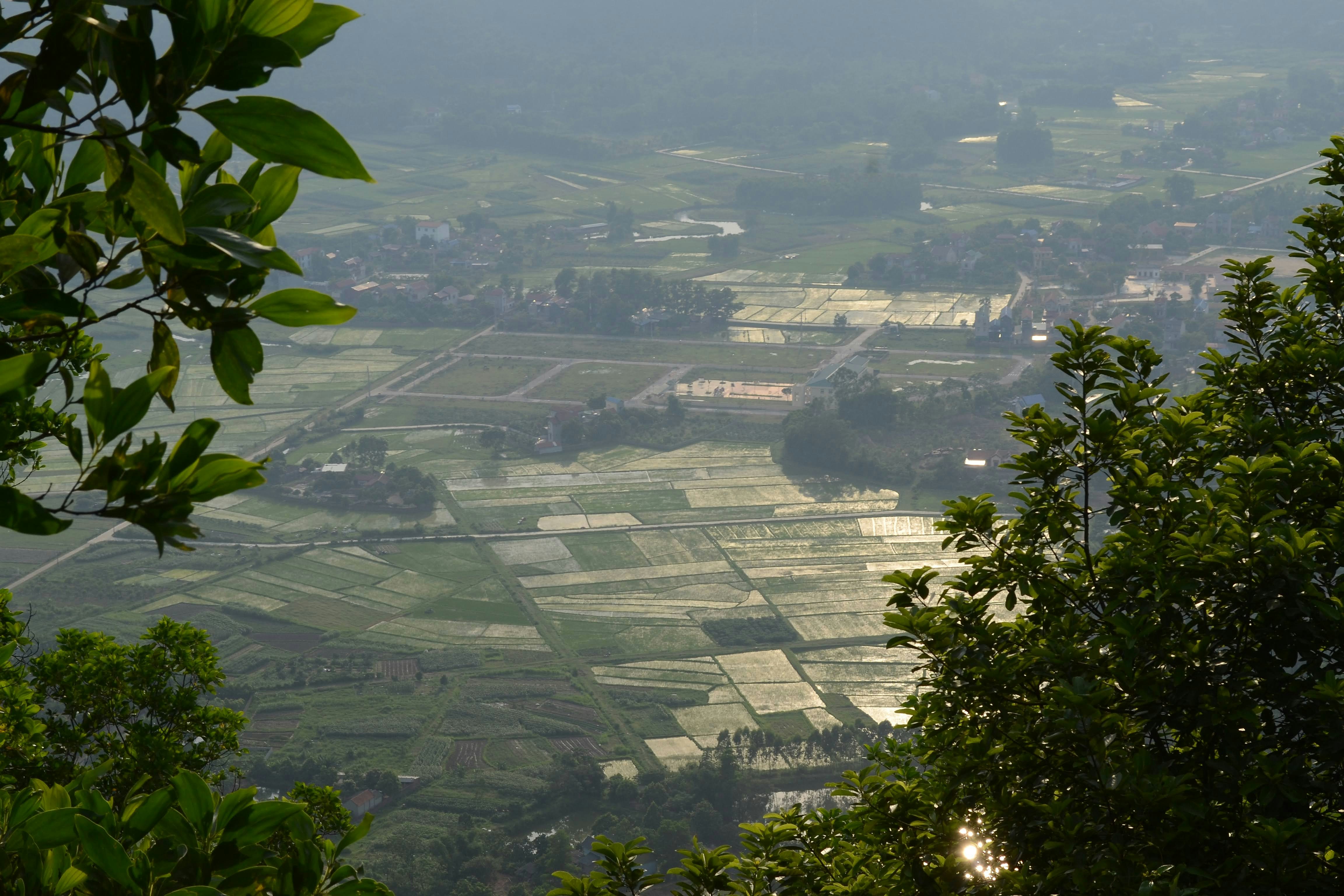 Terraced agricultural plots visible through a forested hillside, sunlit patches reflecting in a distant valley.