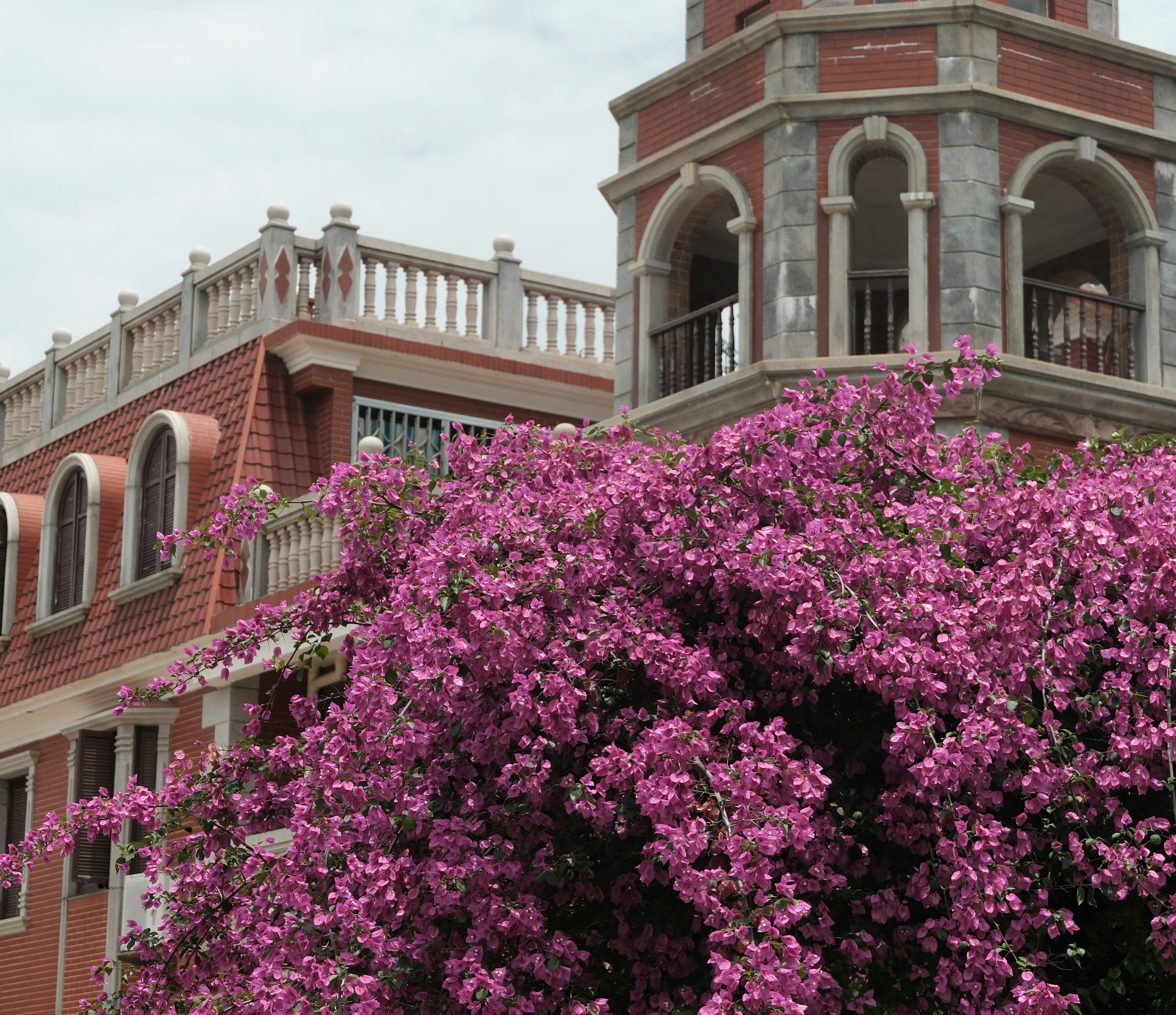 Crimson Boulevards: A Floral Focal Against Ornate Brickwork