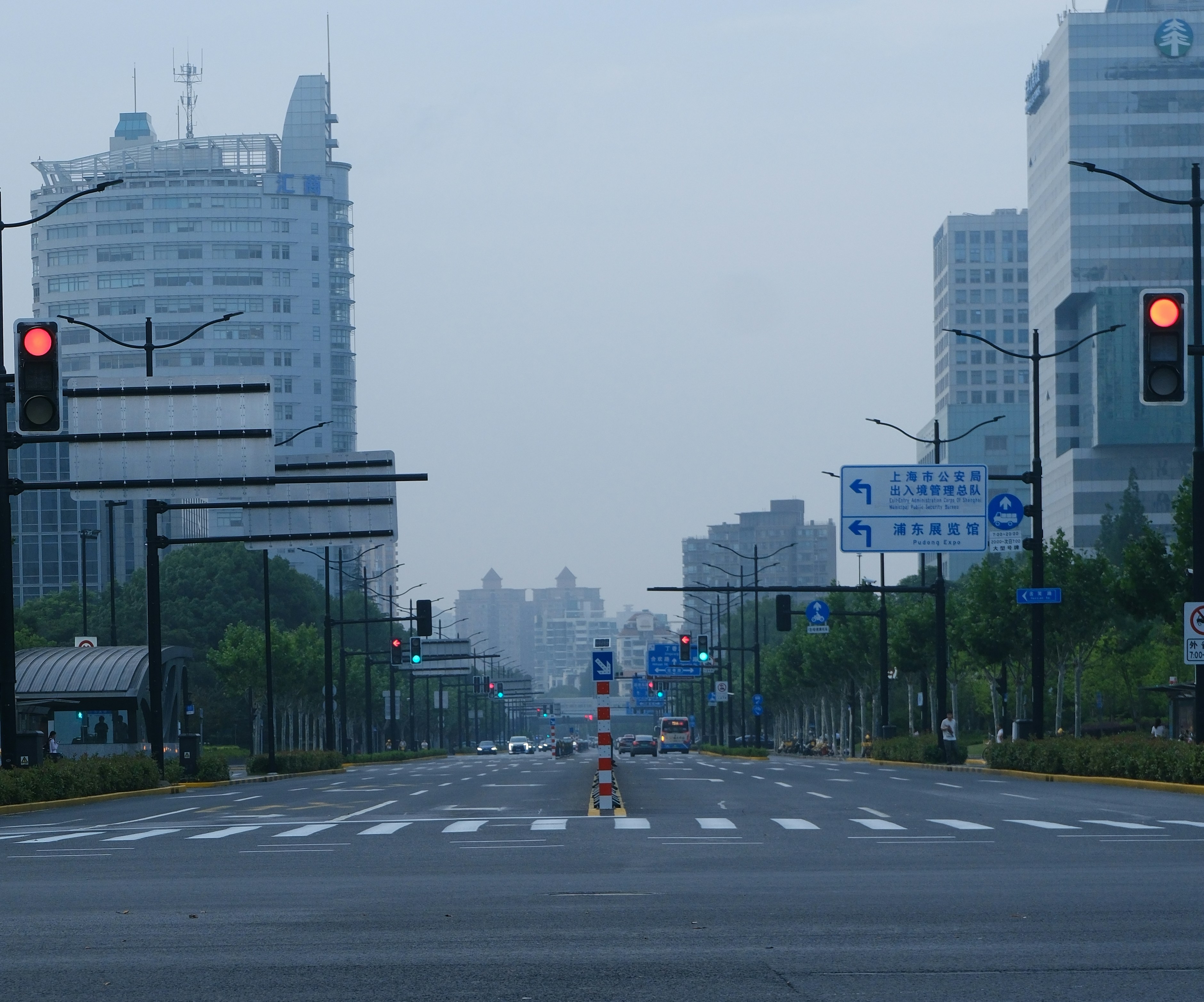 Symmetrical Avenue: A Quiet Morning in an Urban Corridor