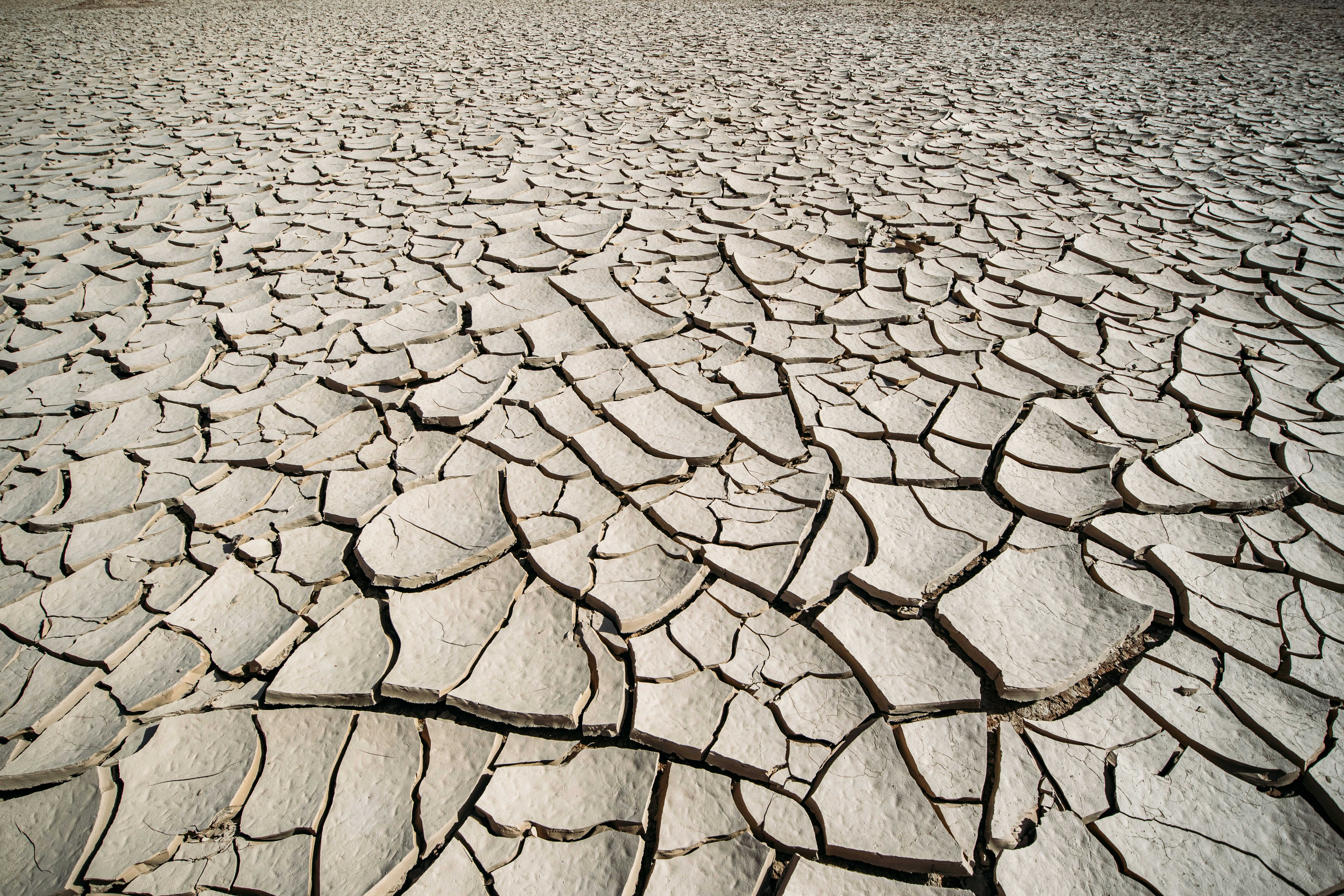 Desiccated Desert Tiles: A mosaic of parched earth
