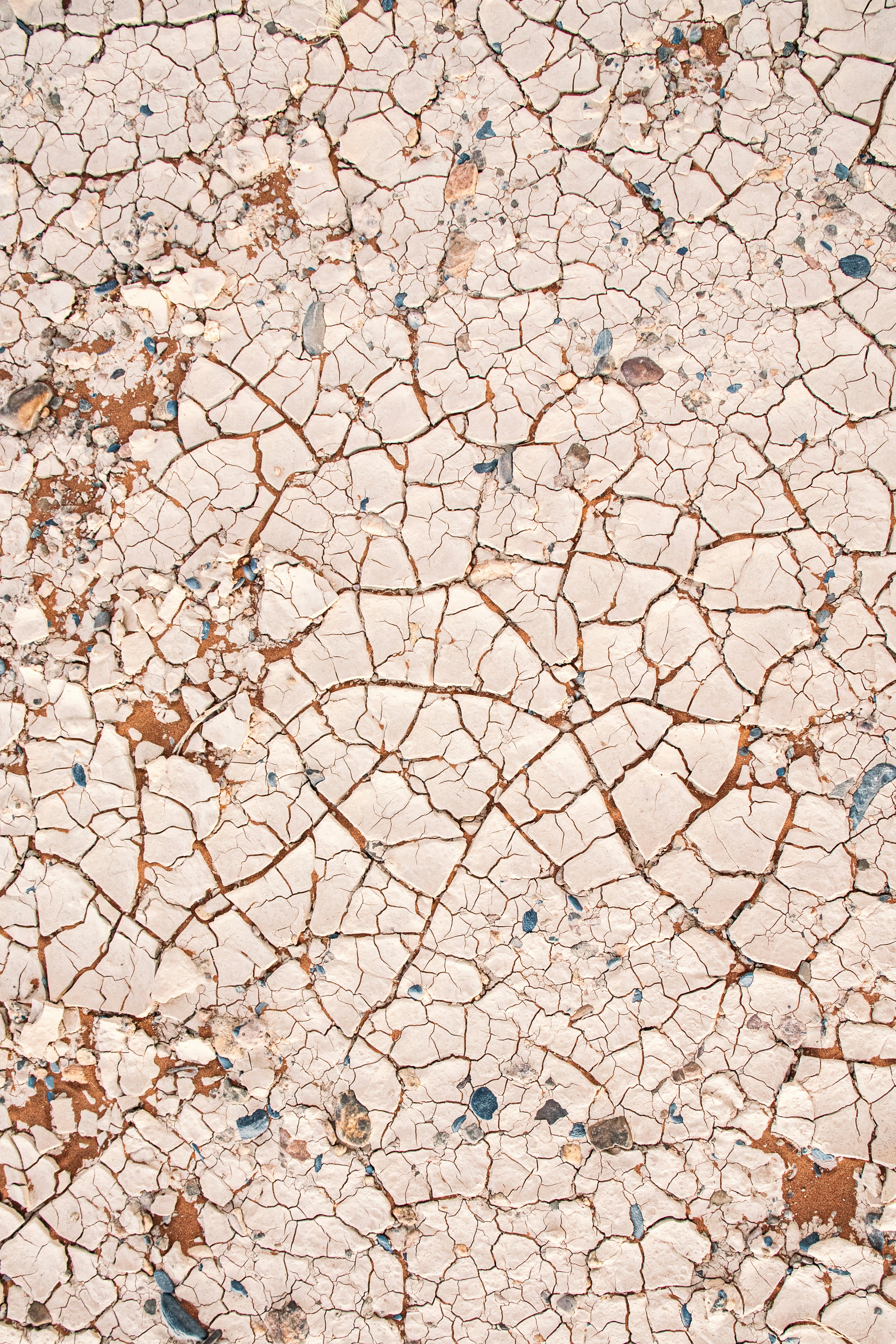 Cracked Earth Mosaic: Desert Ground Sketches in Parched Light