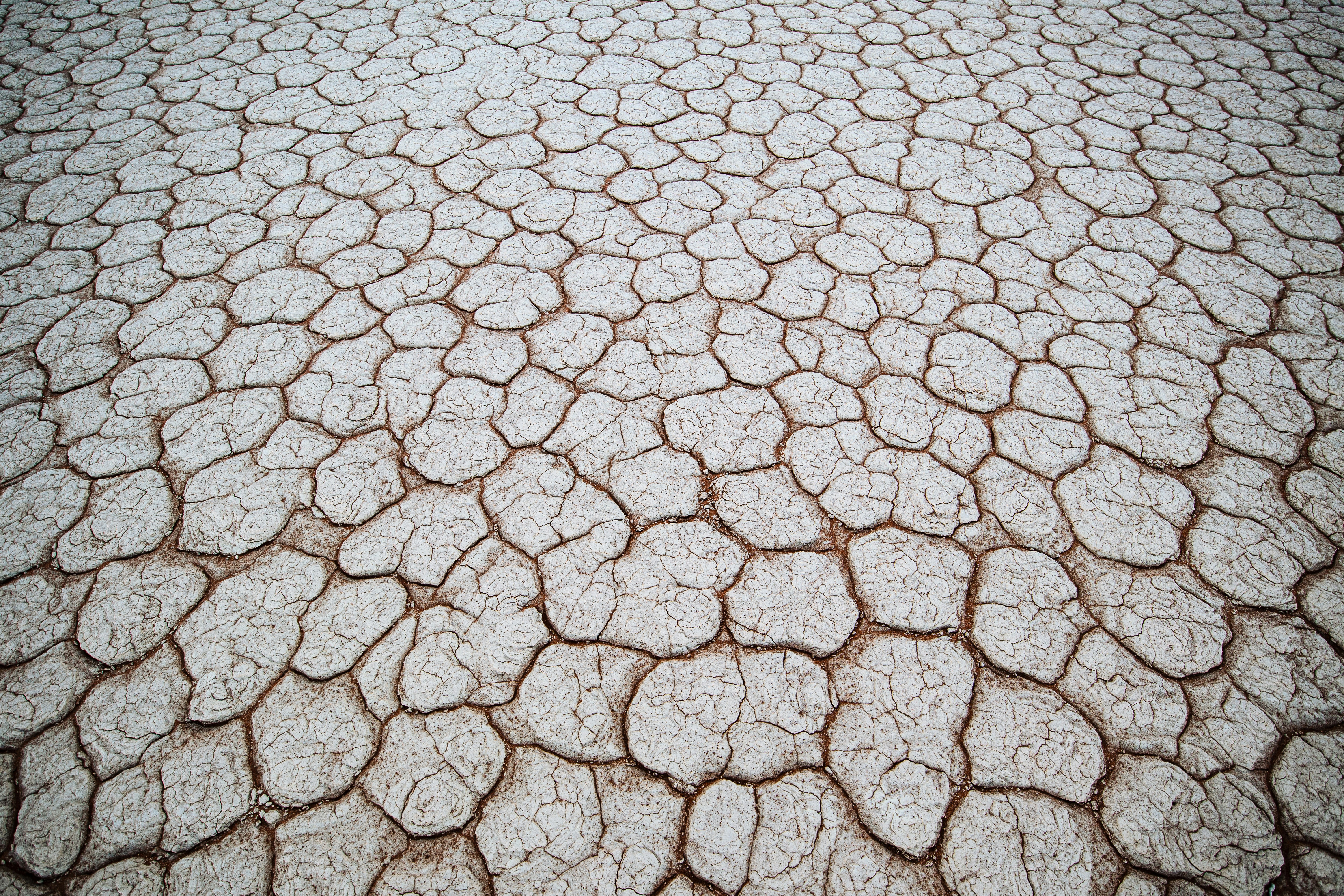 Cracked Earthscape: A Tiled Desert Mosaic Under Soft Light