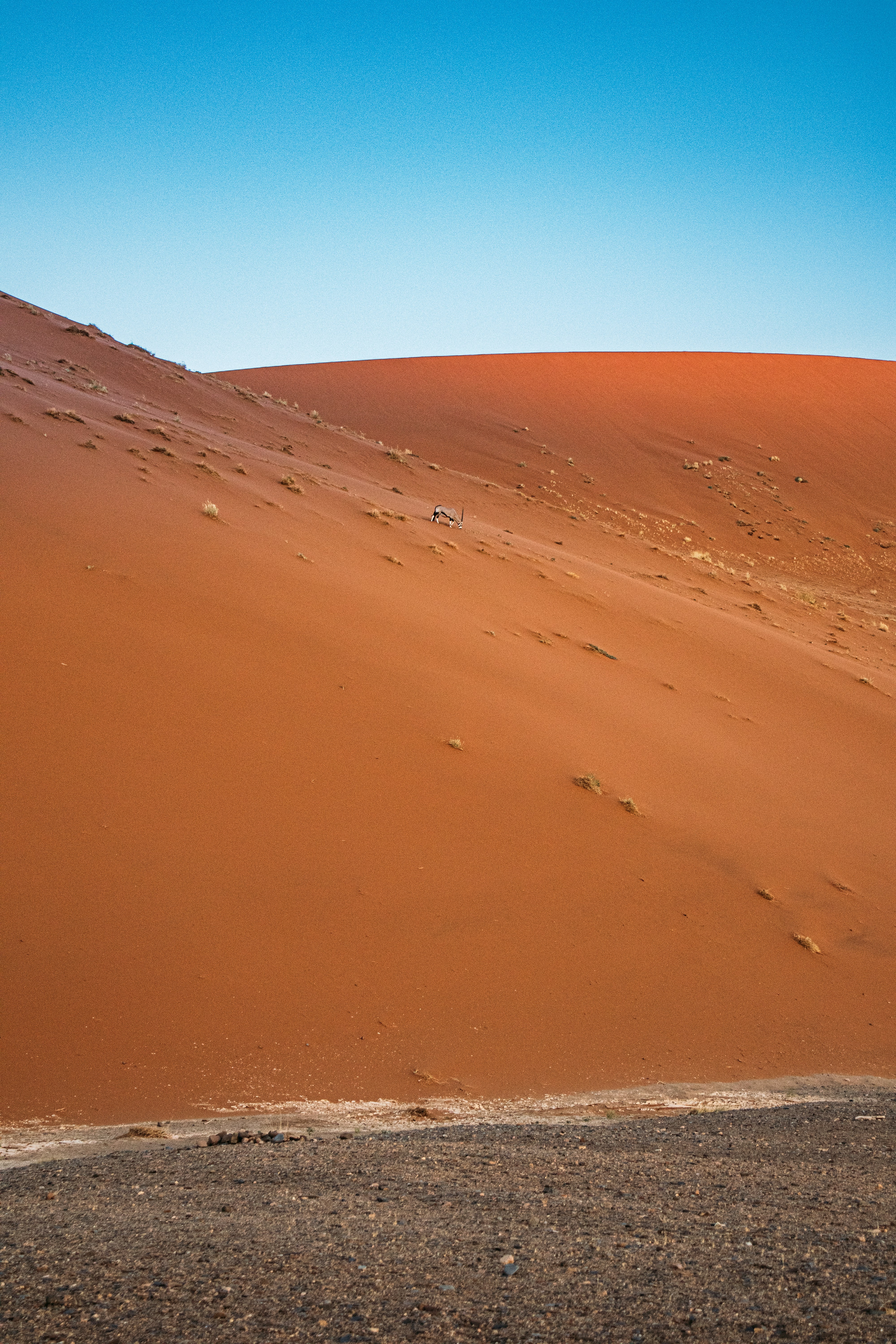Desert Dunes photo shot on Canon EOS M50