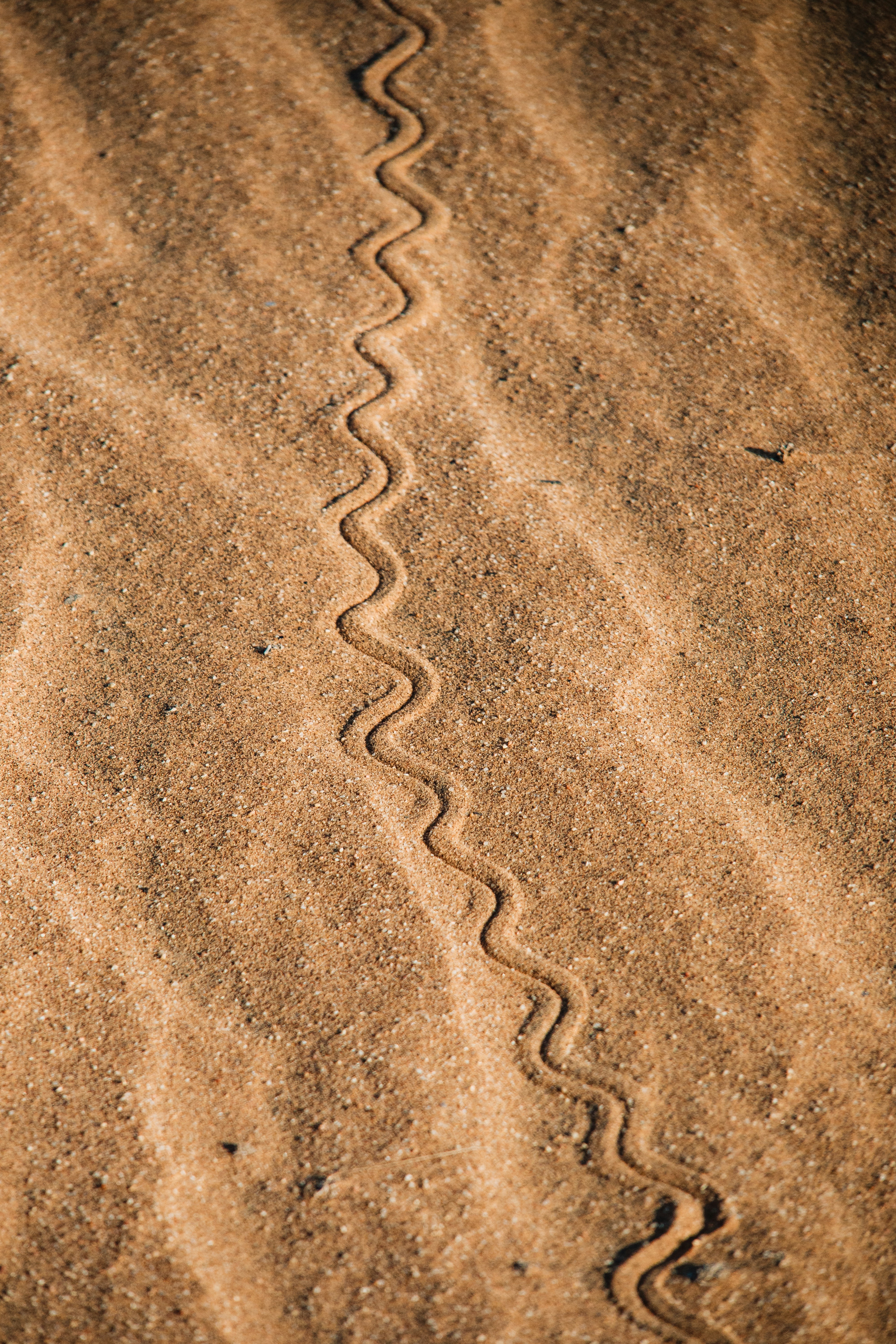 Ridge of Dunes: A Meandering Steam in Carved Sand