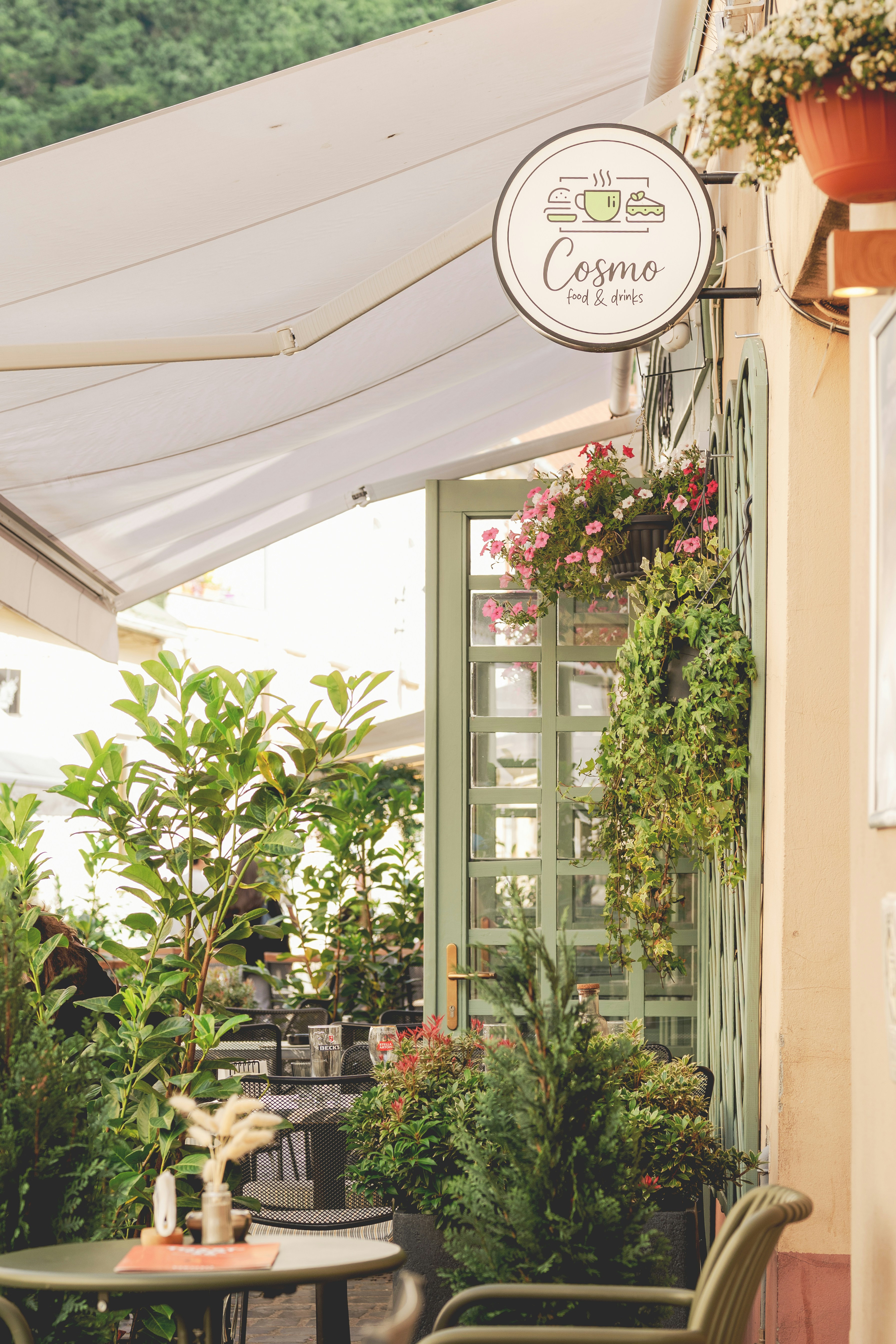 Café Terrace in Bloom: Sunlit Calm Under a Canopy of Green