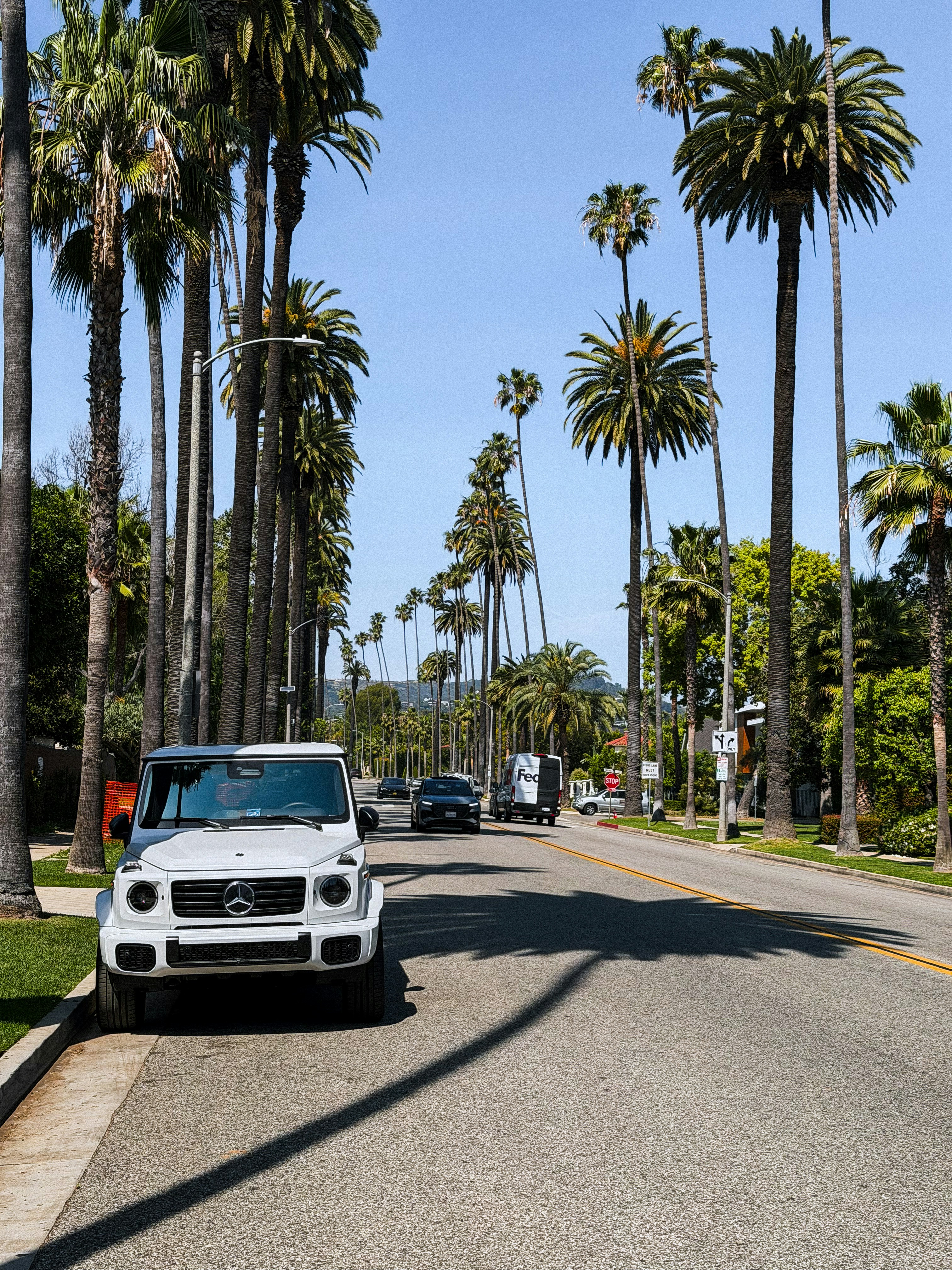 Palm-lined boulevard with a white Mercedes at the curb
