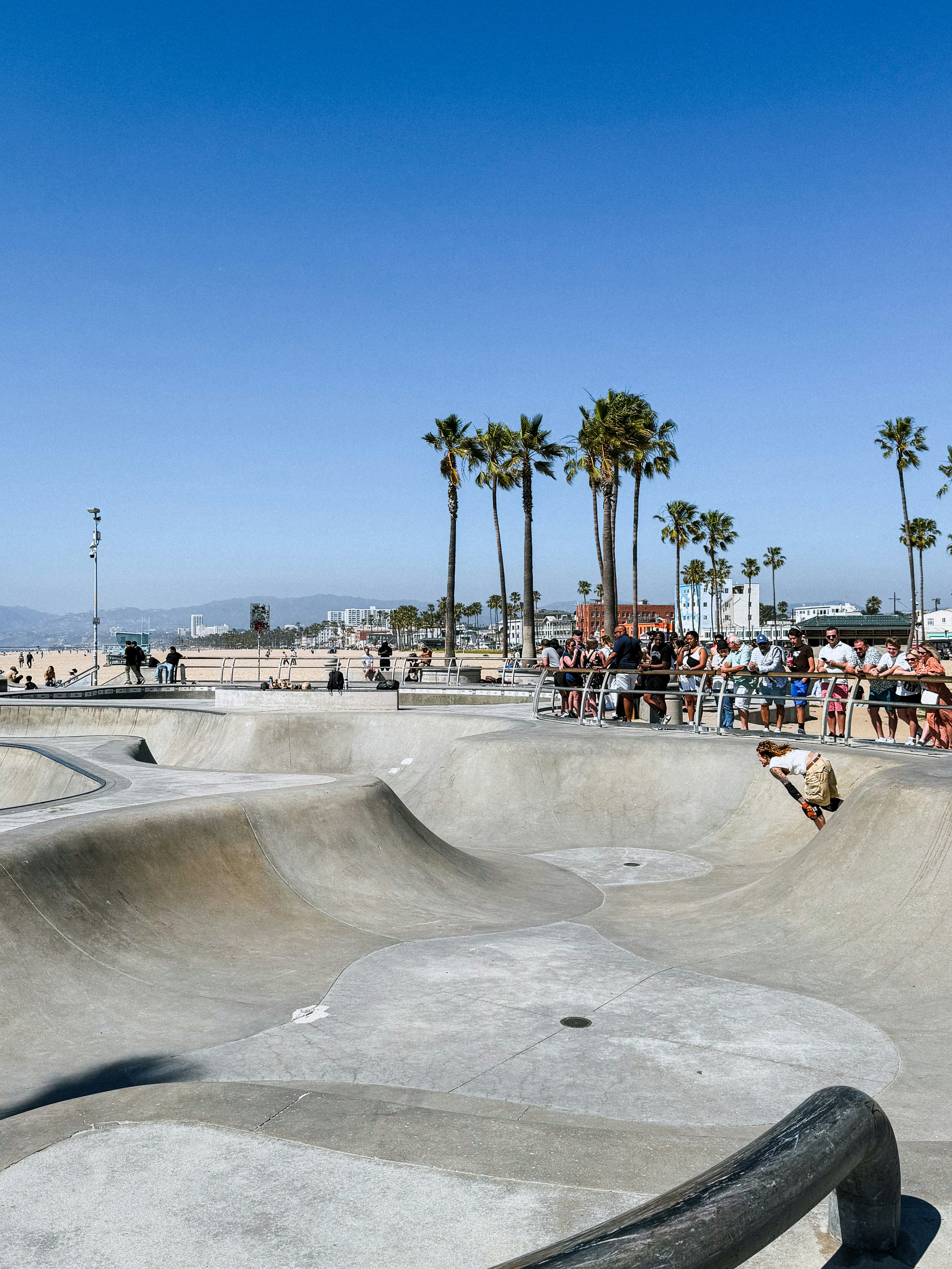 Venice beach skatepark with palm trees and ocean view.