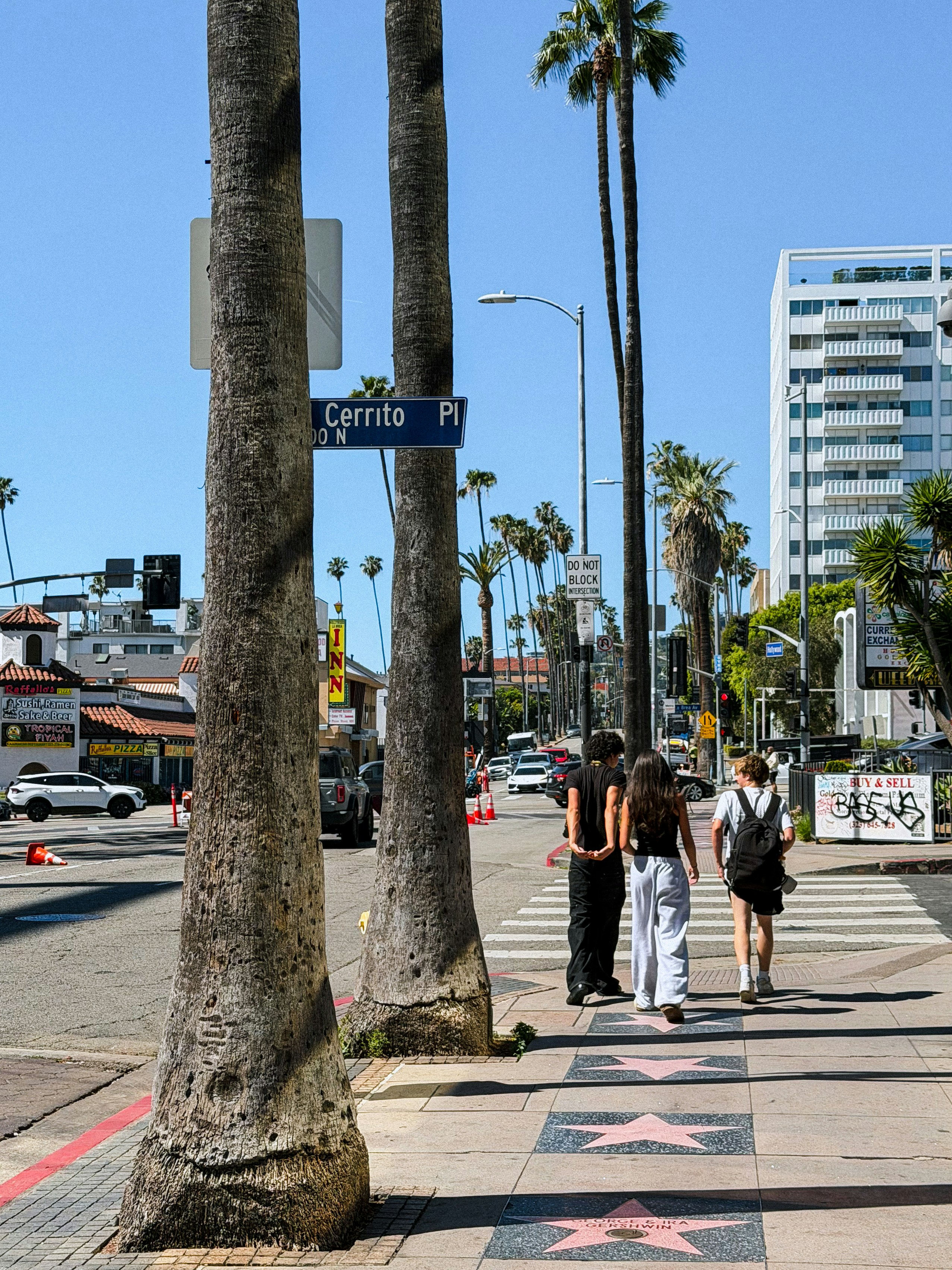 Crosswalk Conversations on a Sunny Palm Street