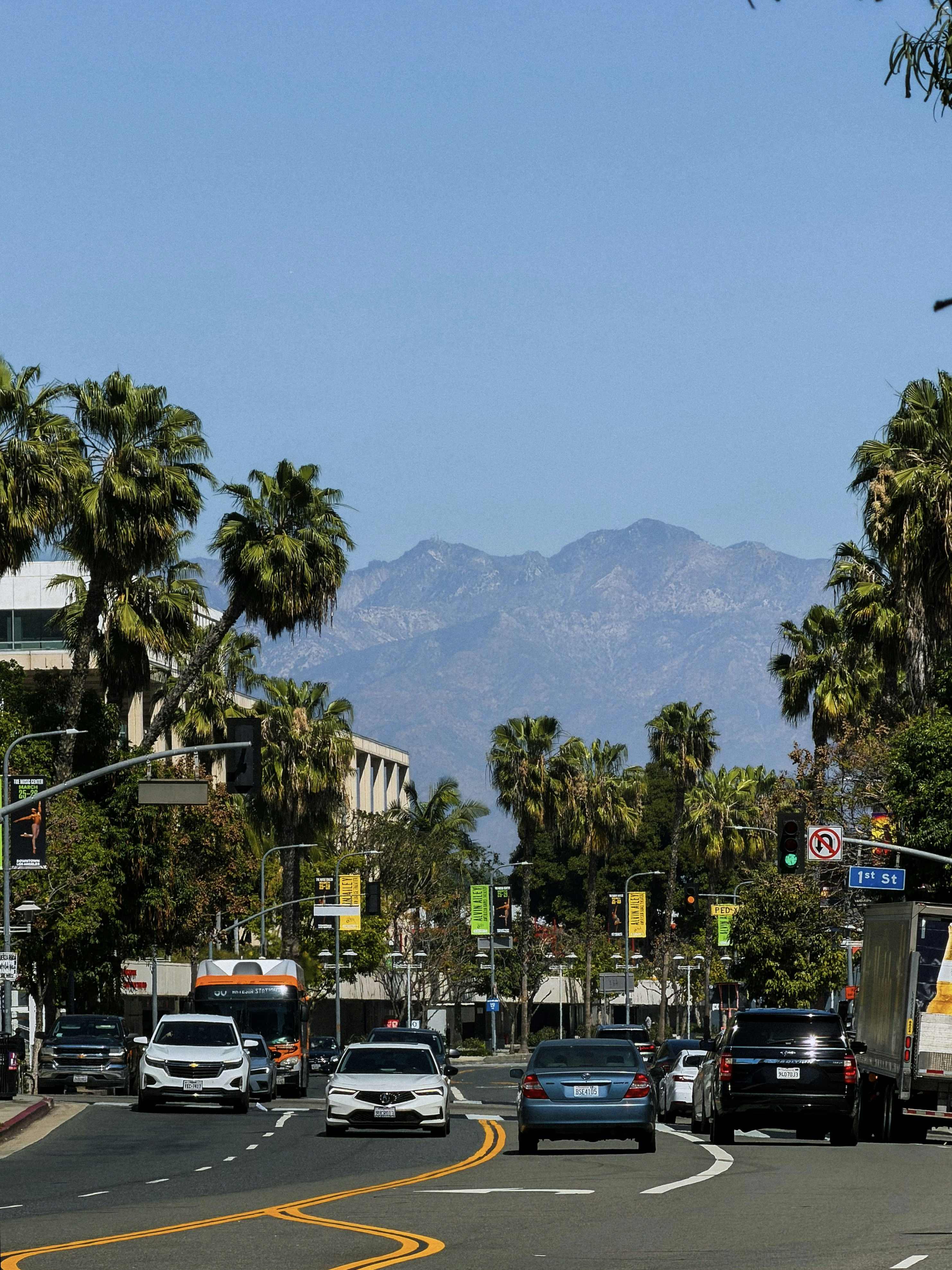Palm-lined Boulevard to the Mountain Ridge