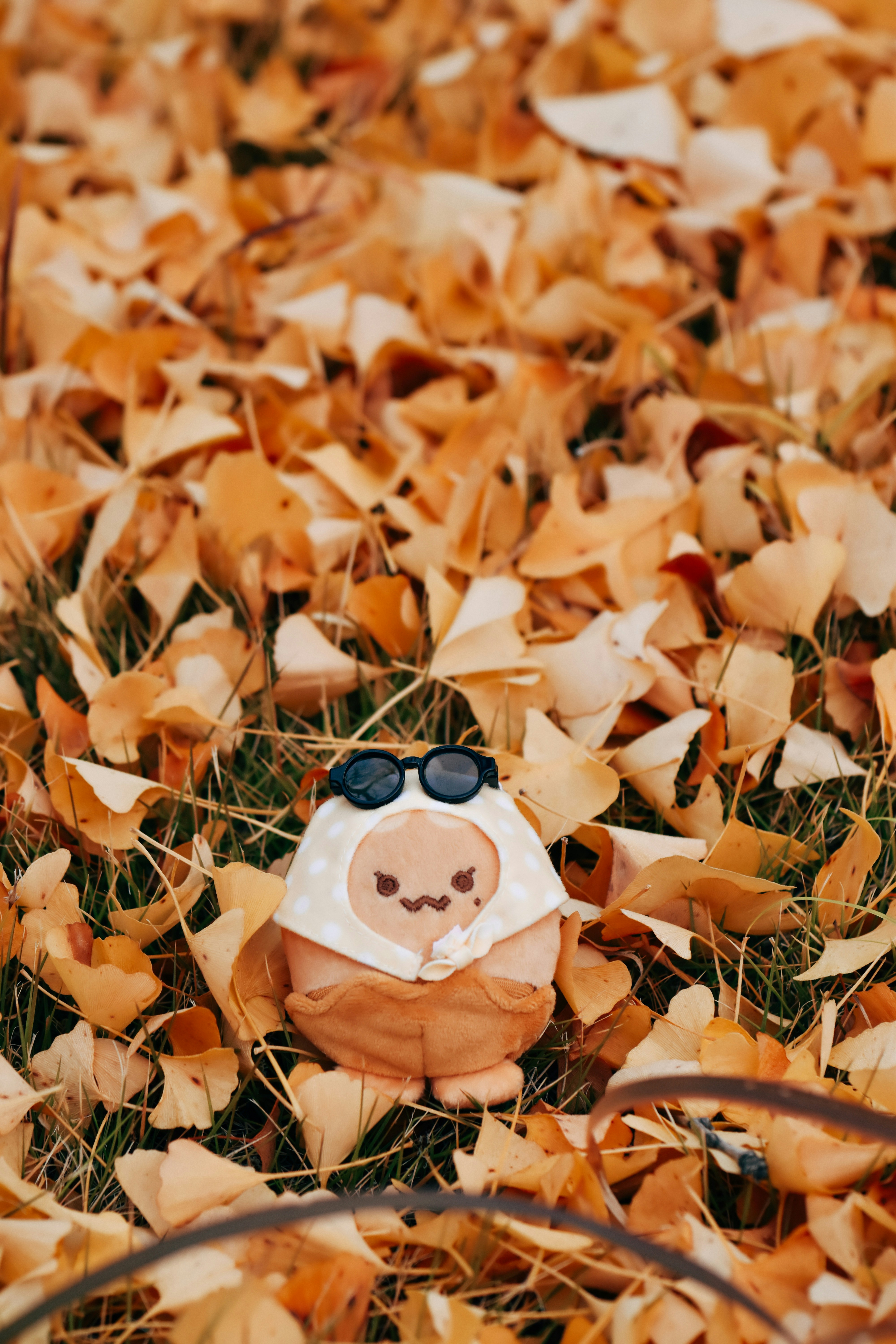 Puffy autumn mascot with glasses nestled in amber leaves