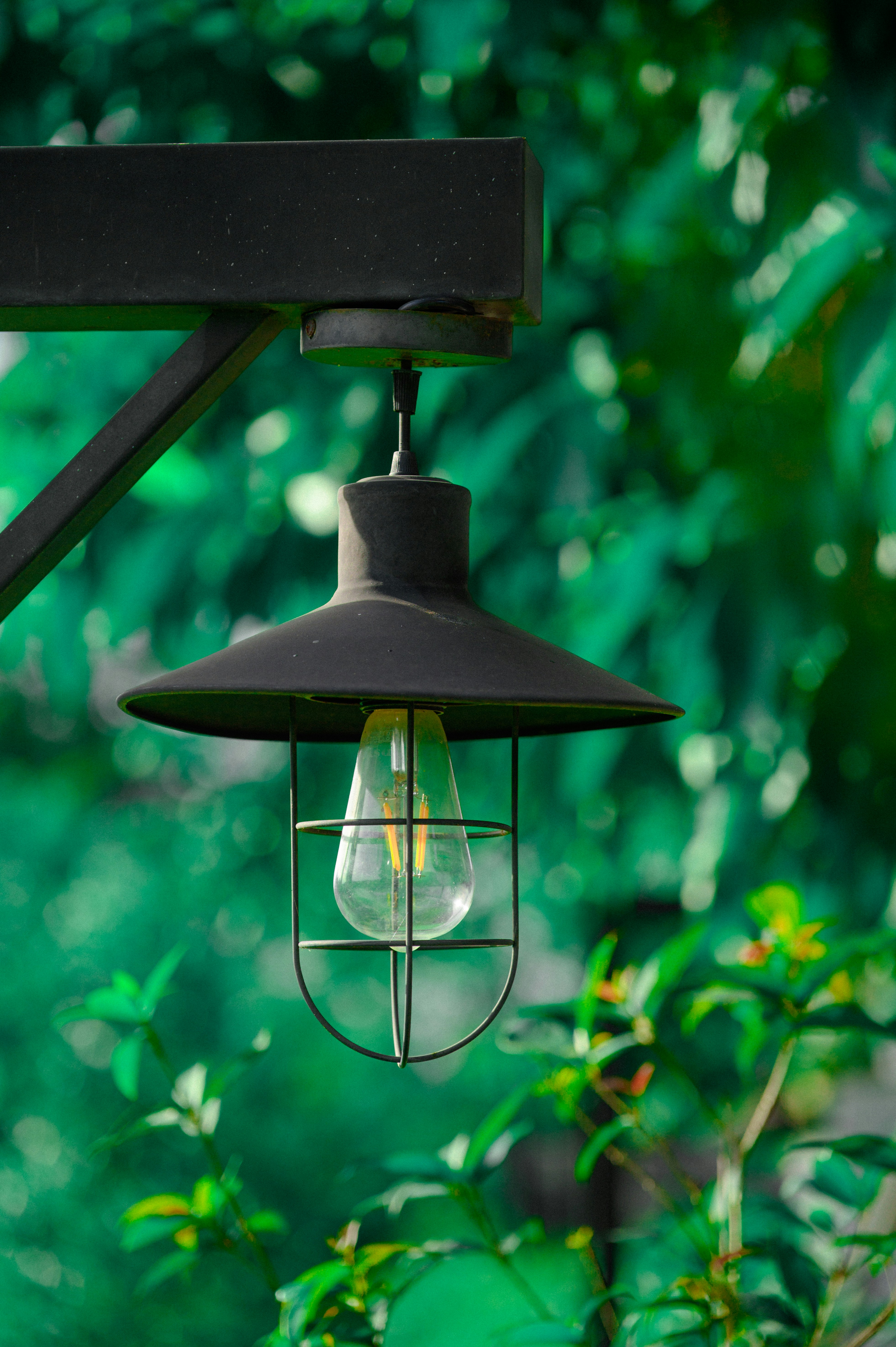 Hanging Light: A Rustic Lantern against Lush Greenbackdrop