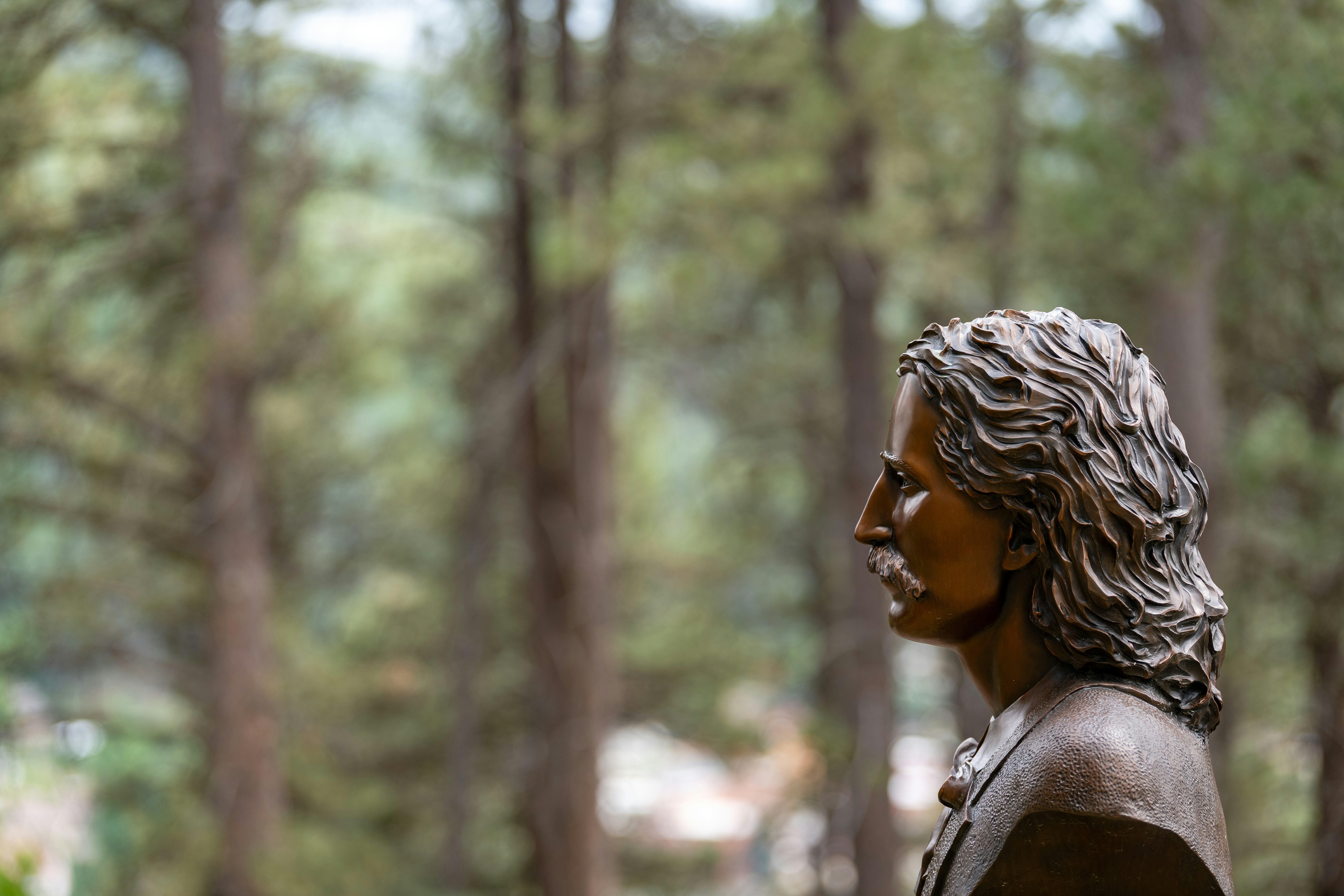 Silent Sentinel: A Bronze Portrait Among Pines