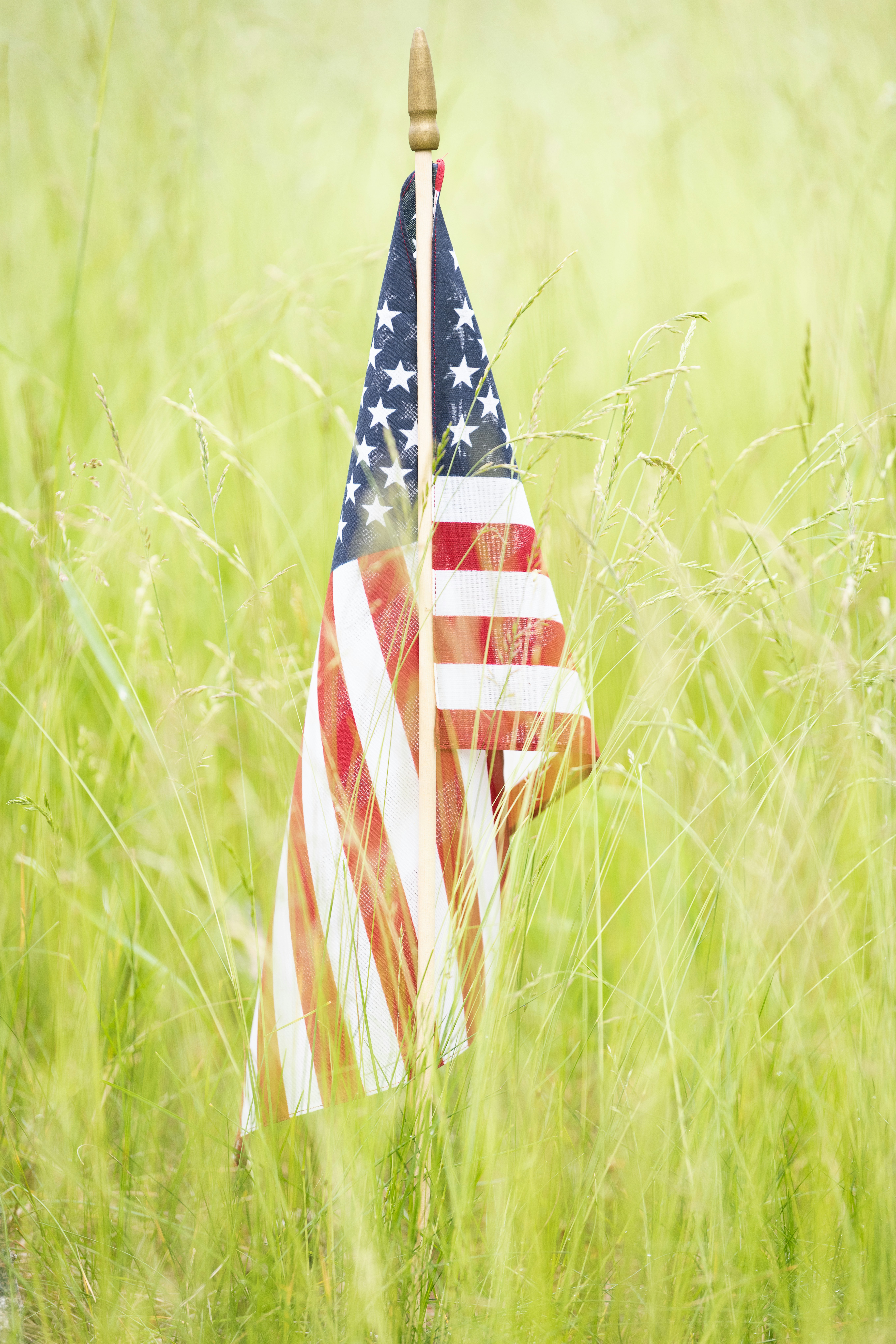 Flag in the Tall Grass at Distant Dawn