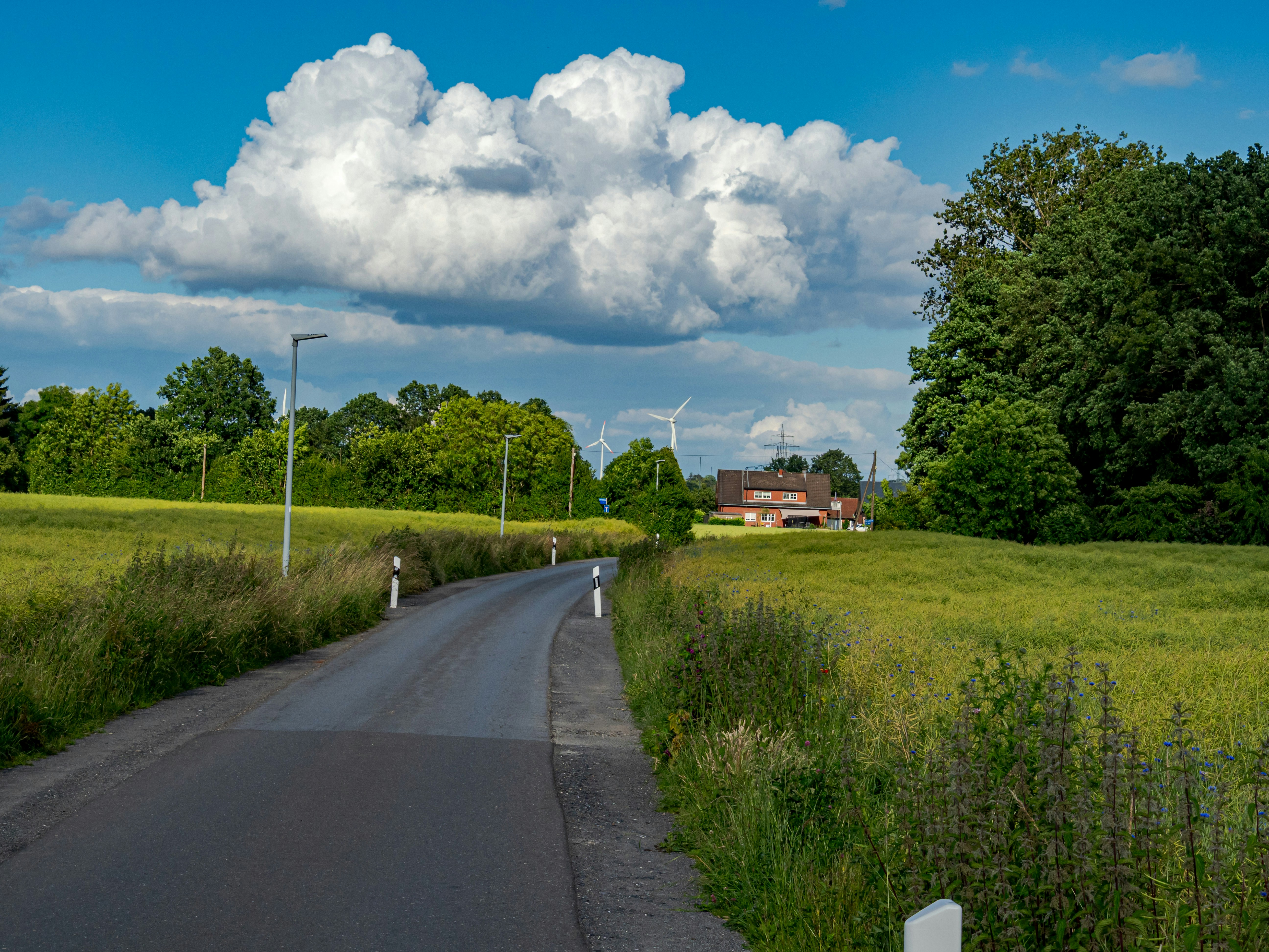 Country Road to the Wind Farm Horizon