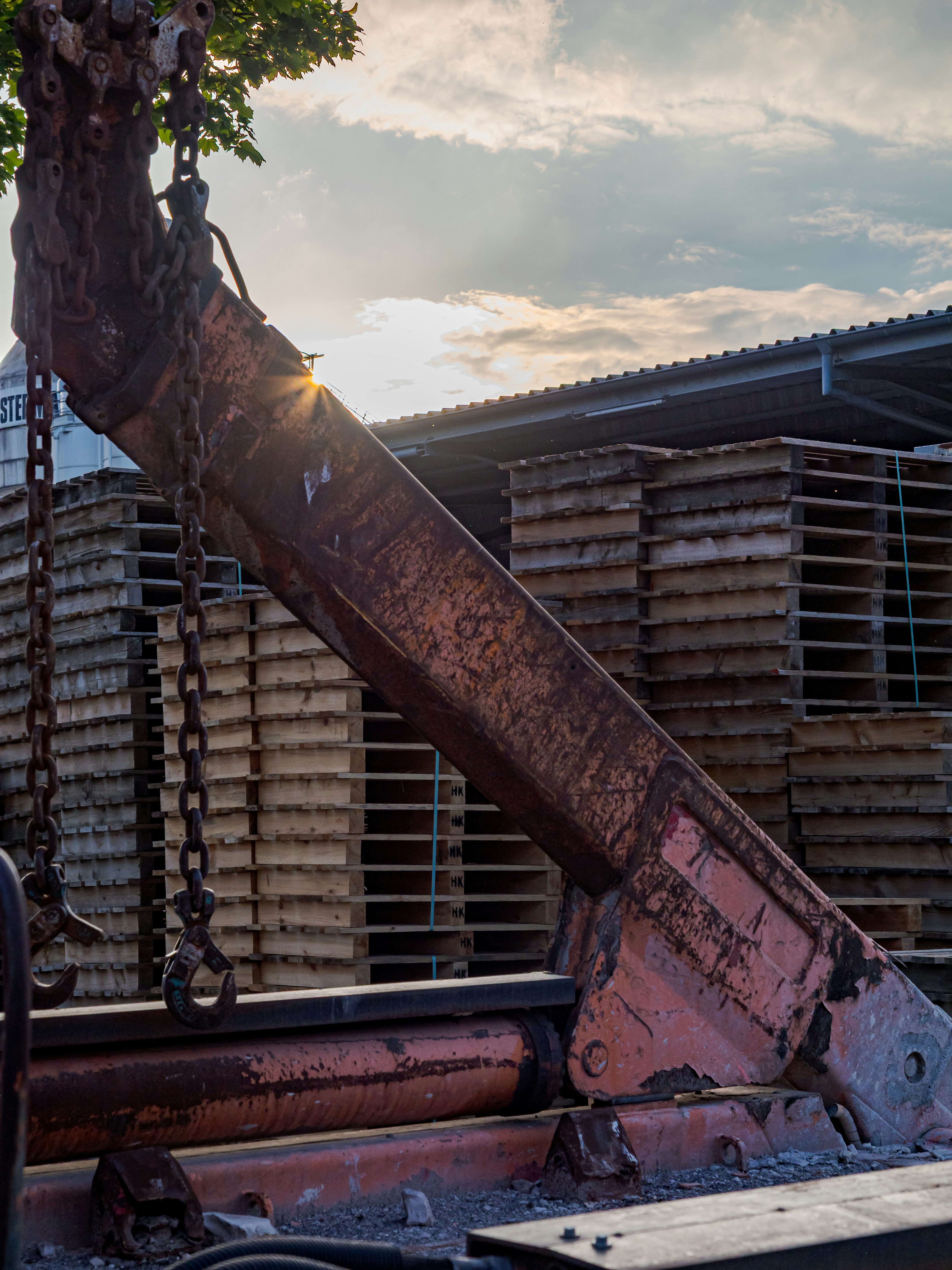 Rusted excavator arm catching the last light of day at a stacked timber yard