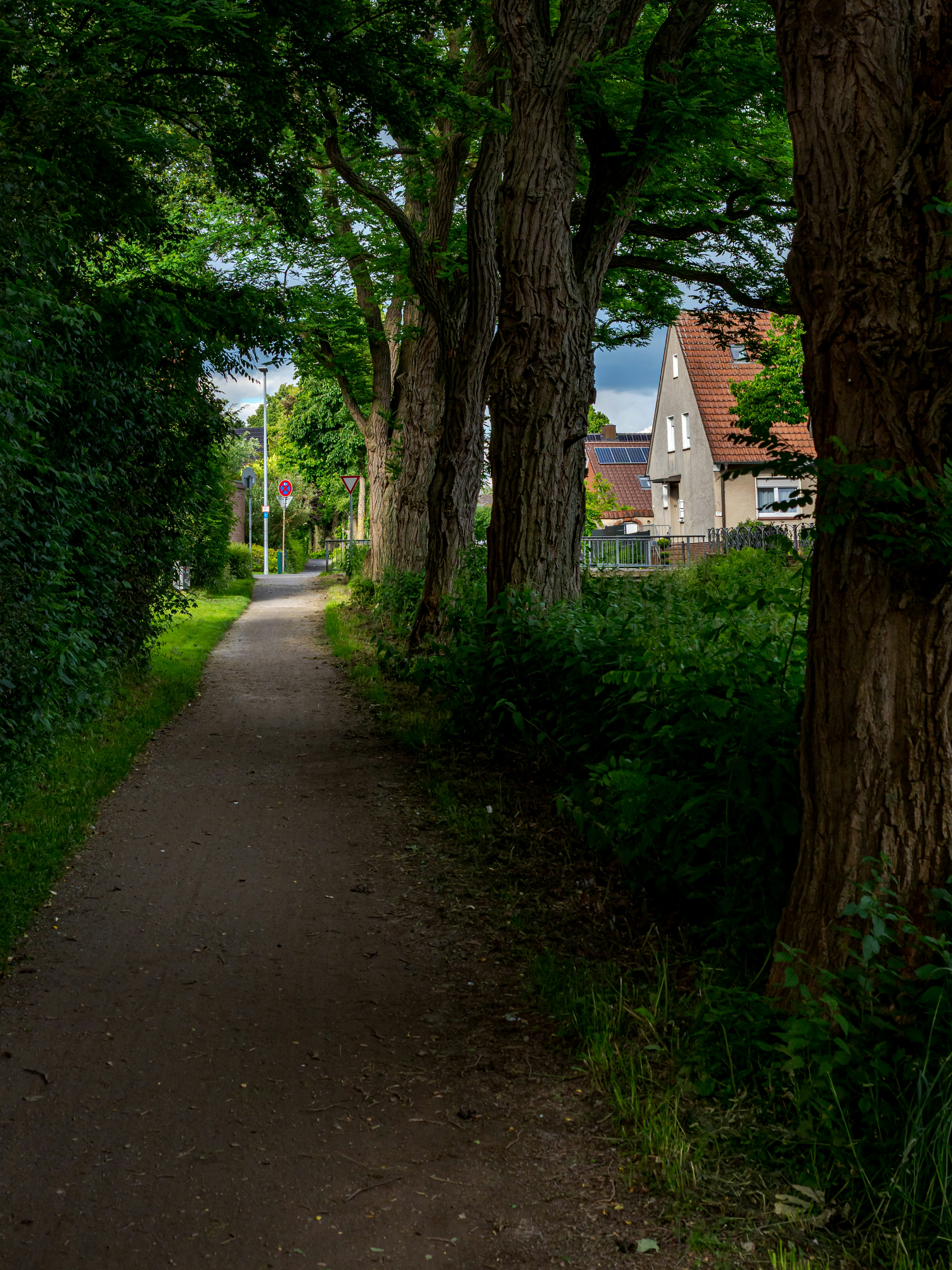 Shaded Riverside Path Framing a Quiet Suburban Corridor