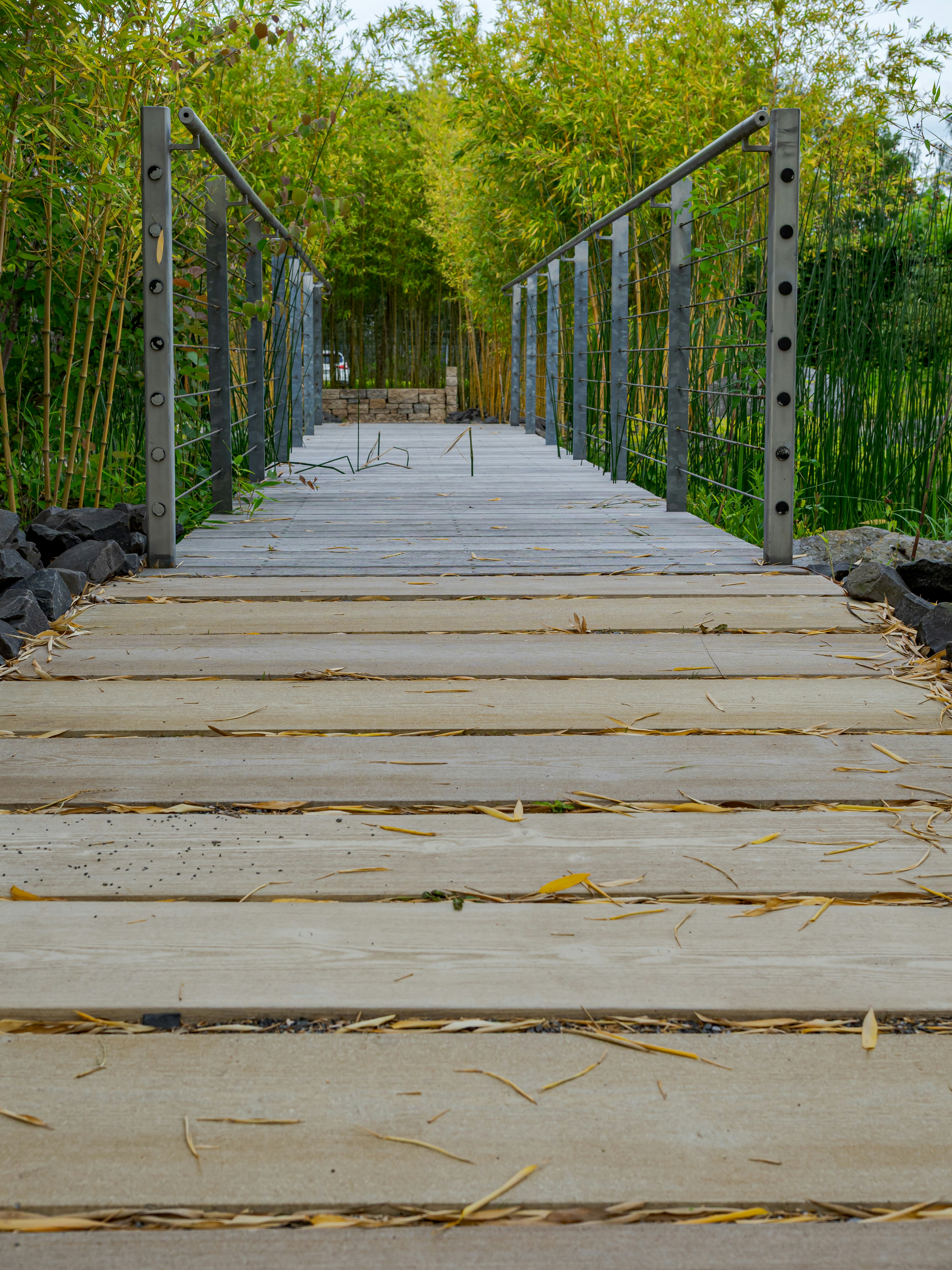 Bridge into the Green Corridor