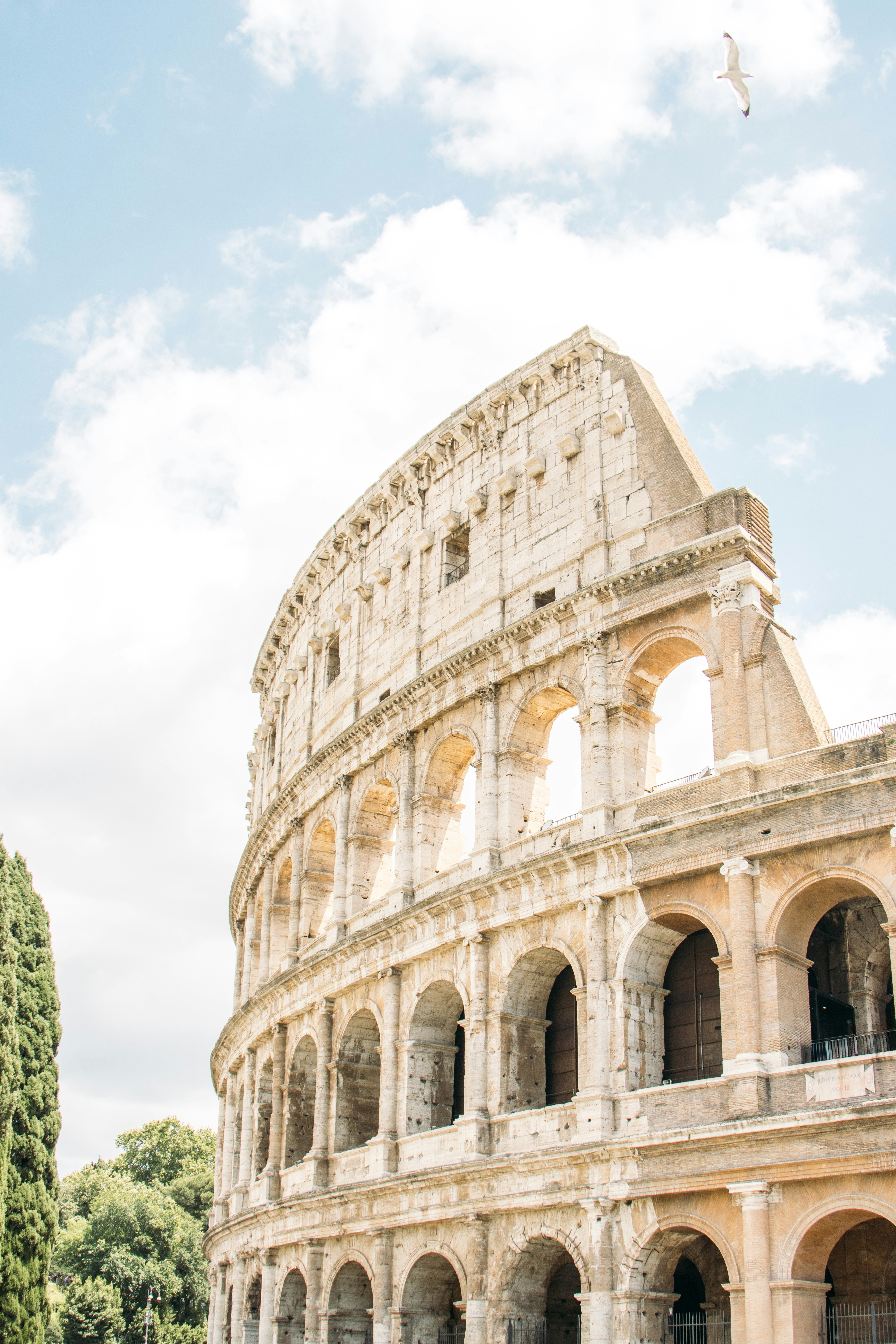 Colosseum in Soft Light: A Sunlit Arc of Time