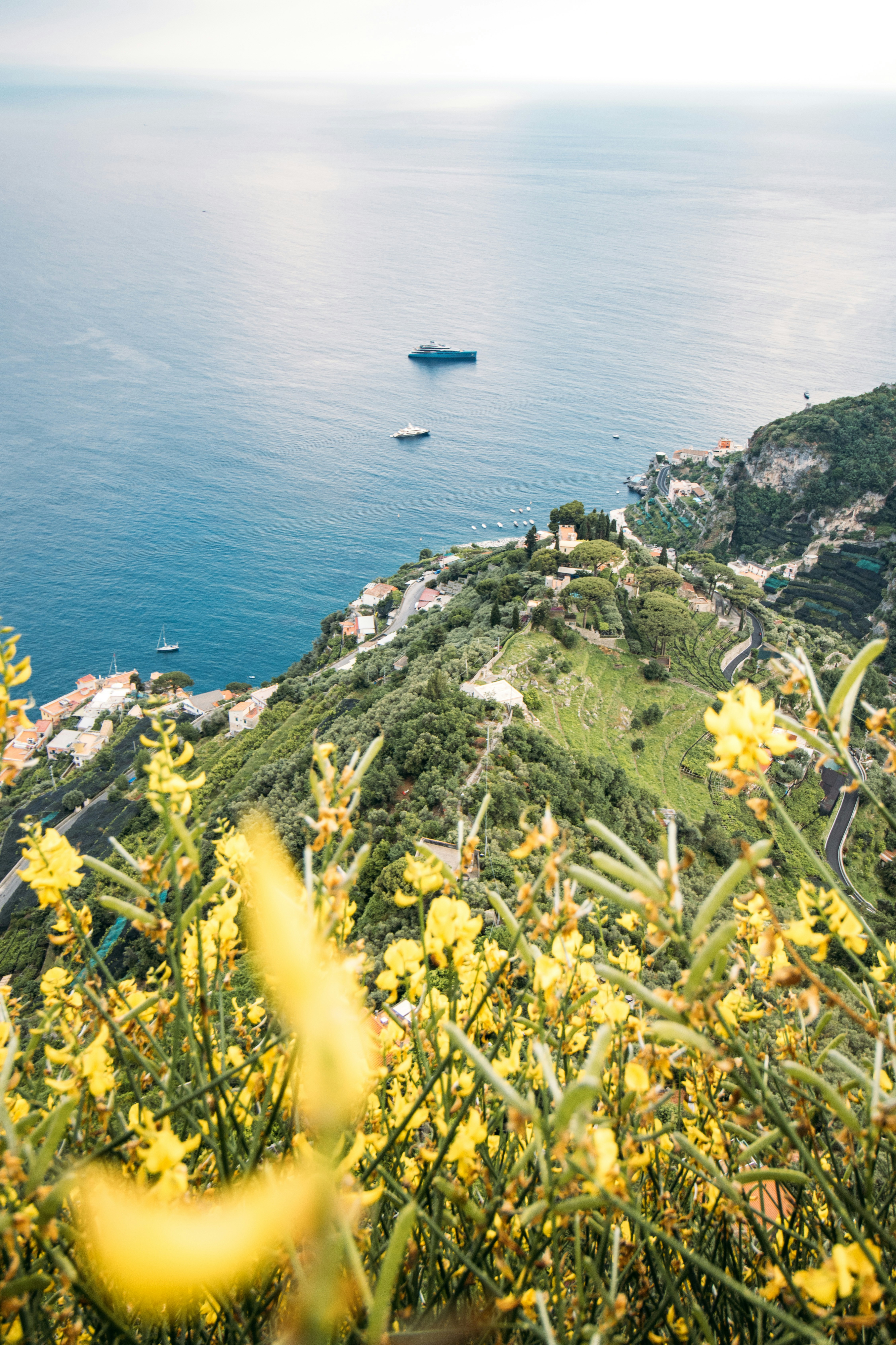 Cliffside Coastline: Yellow Blooms Framing a Seaside Village