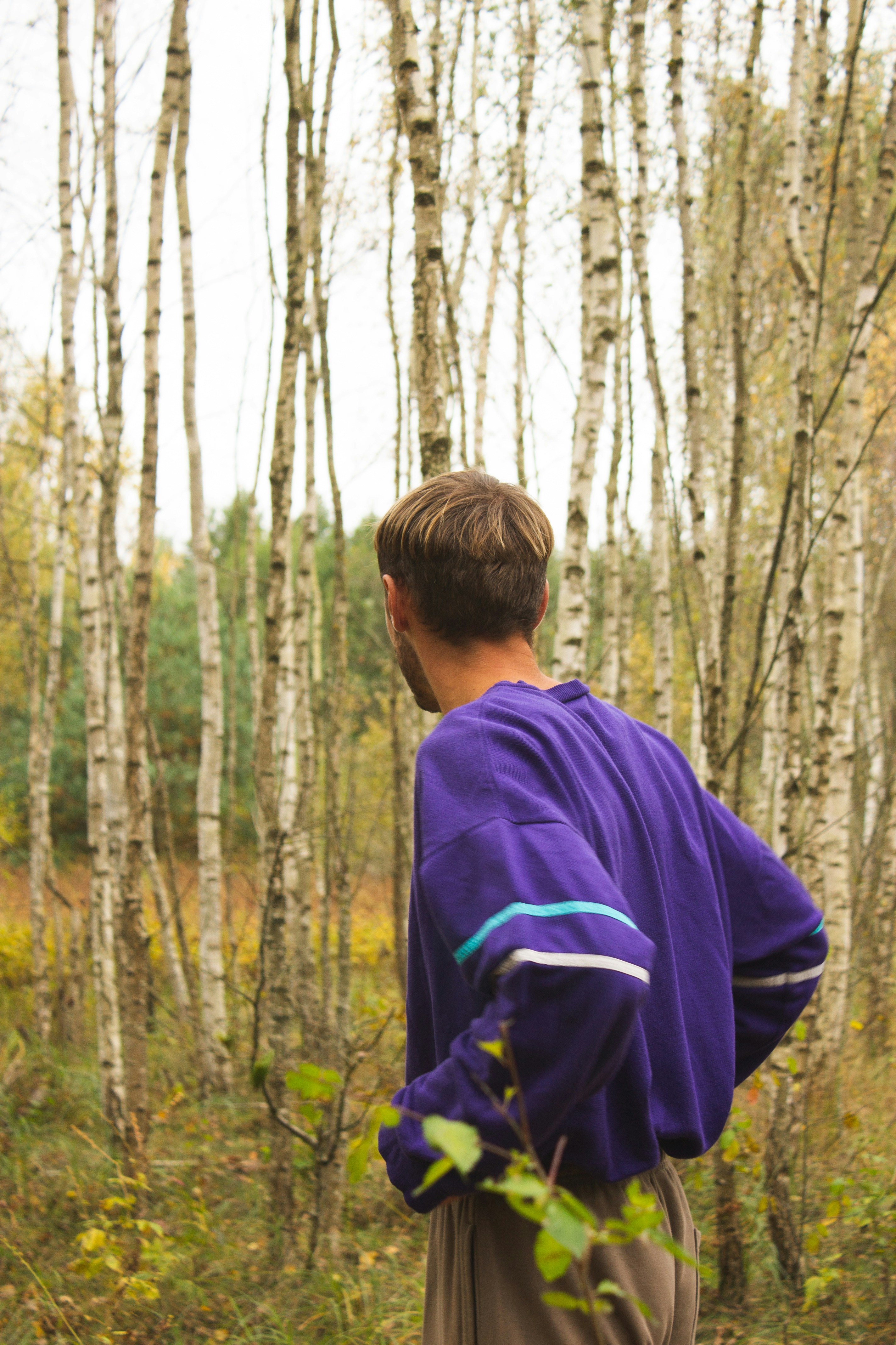 Purple Sweatshirt in a Birch Forest: A Man Looking Toward the Unknown