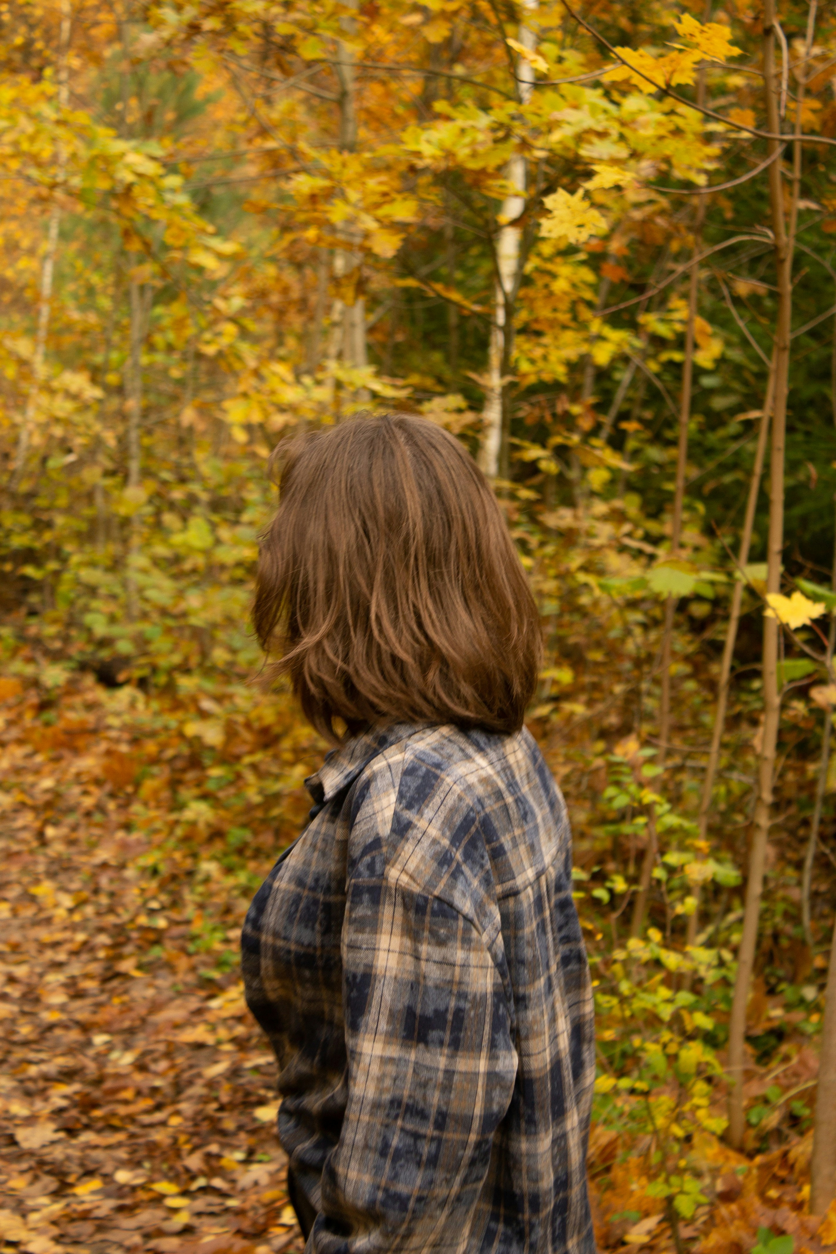 Autumn Woods Portrait: A Quiet Turn in the Forest